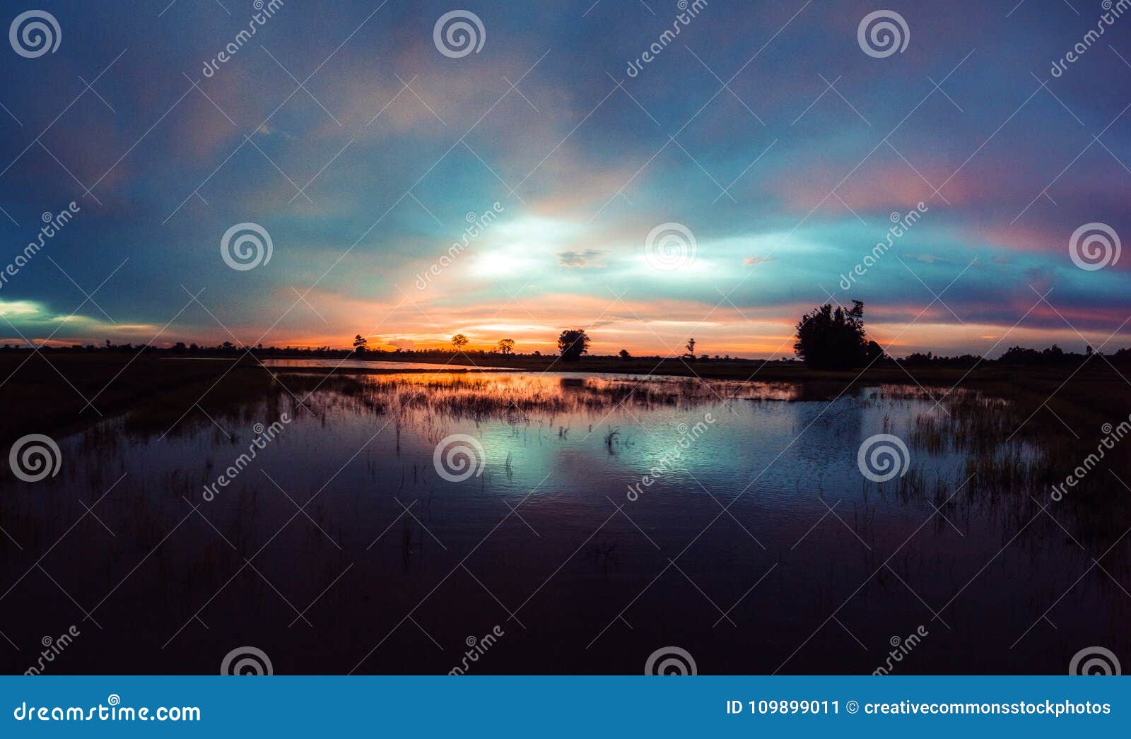 Calm, Clouds, Dawn Picture. Image: 109899011