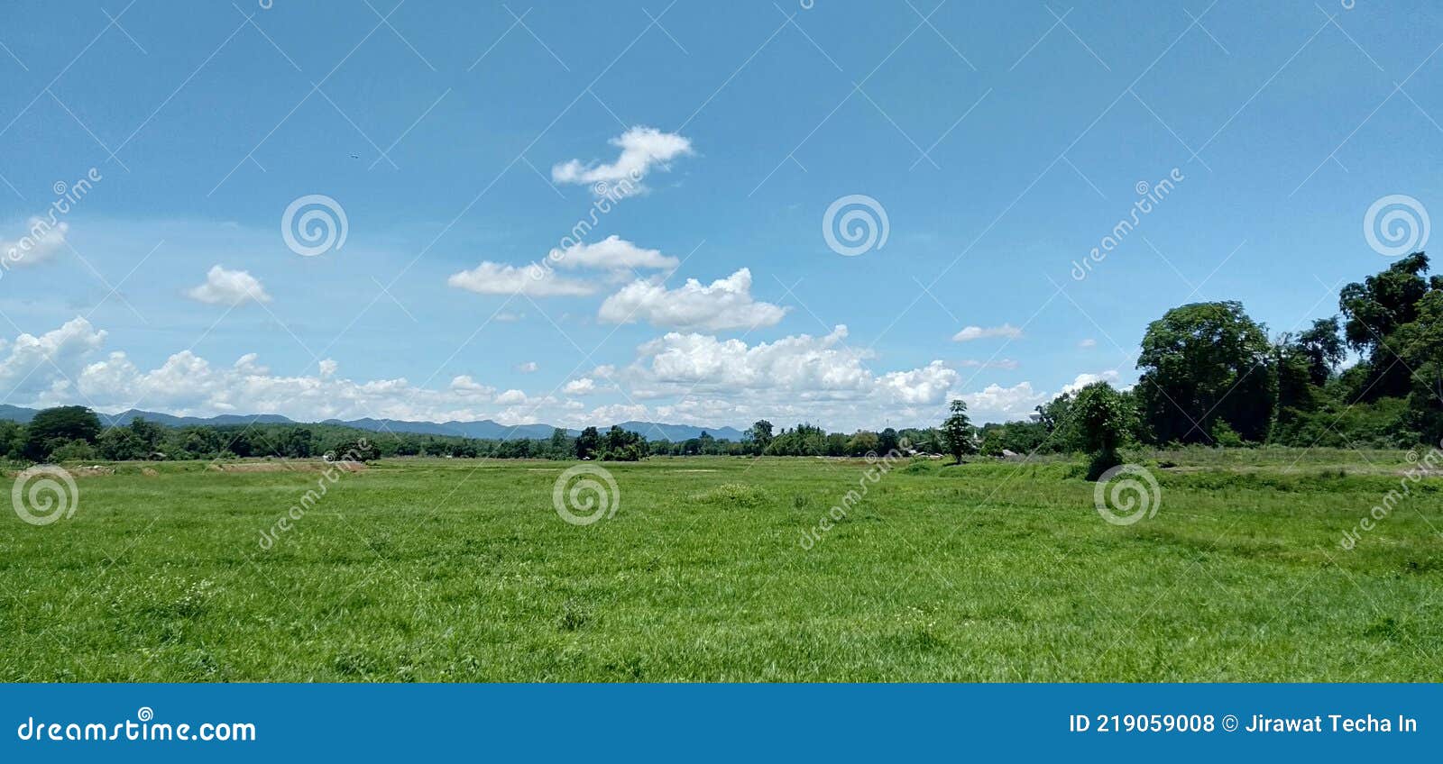 Calm clouds in sky at noon stock photo. Image of pasture - 219059008