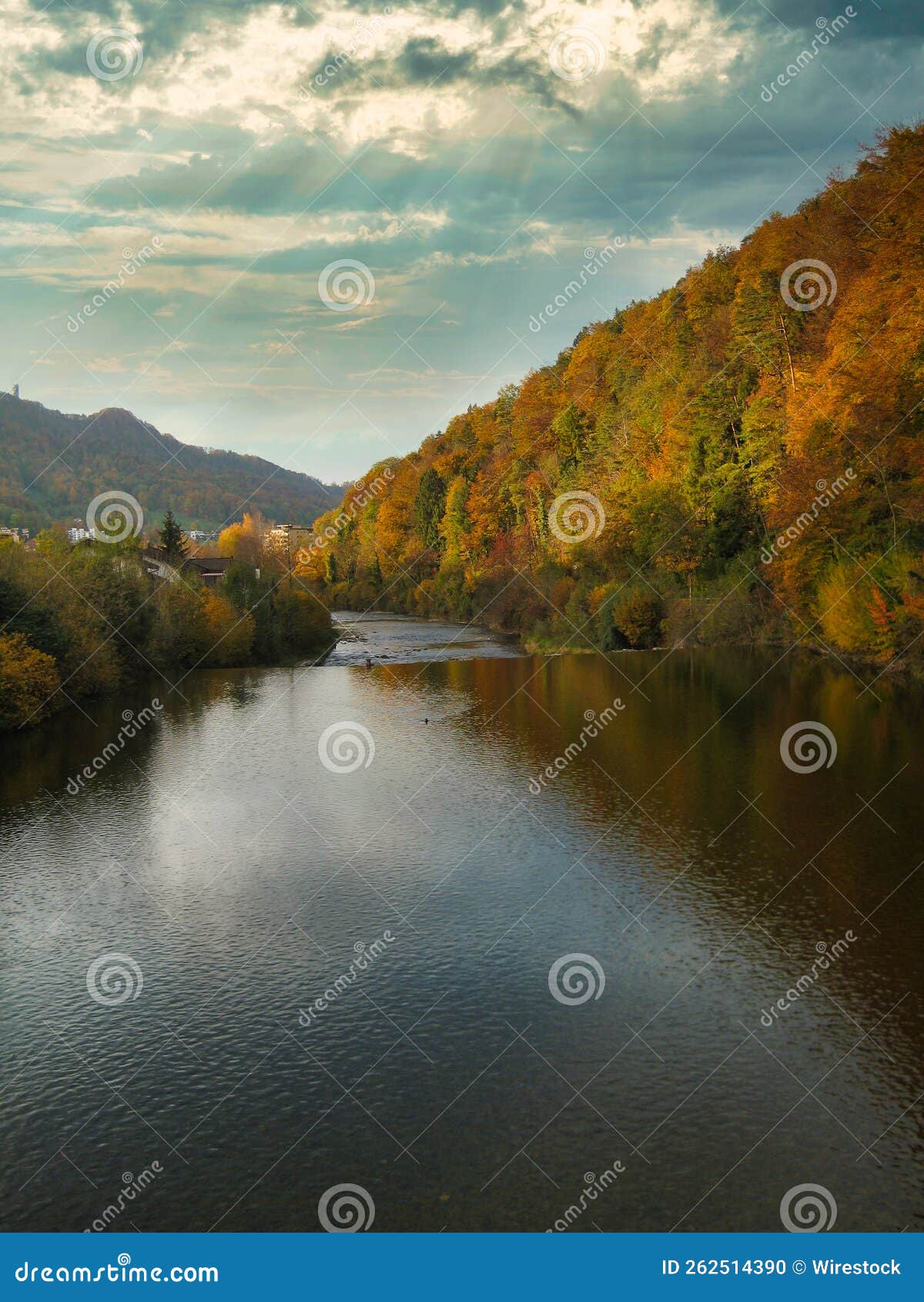 Calm Dark River in a Dense Forest in Fall Stock Photo - Image of forest ...