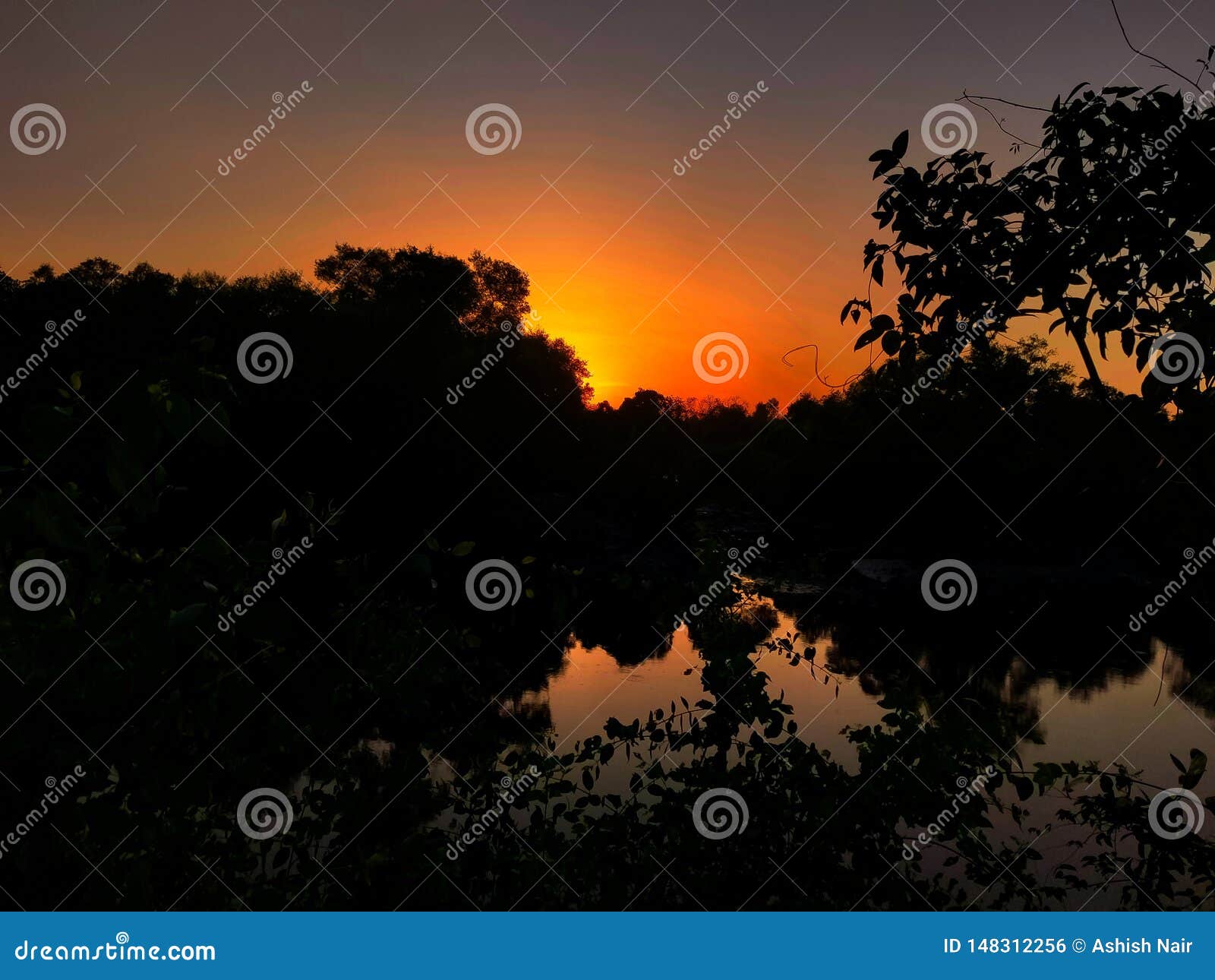 A Calm Evening in the Woods Stock Photo - Image of lake, sunset: 148312256