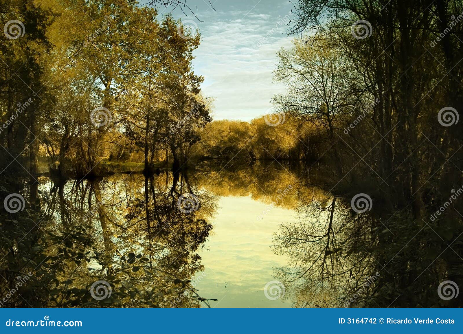 Calm fall landscape stock photo. Image of leaf, reflection - 3164742