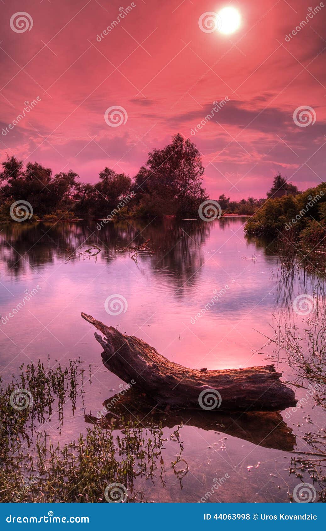 Calm fire stock photo. Image of expressive, gorgeous - 44063998