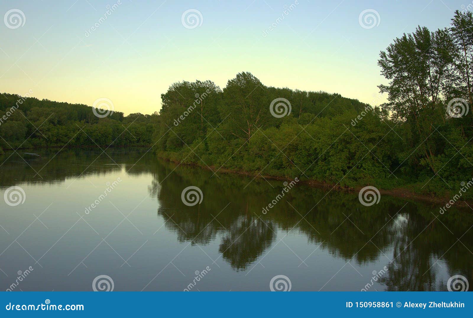 The Calm Flow of the Forest River Reflects in Its Waters the Forest on ...