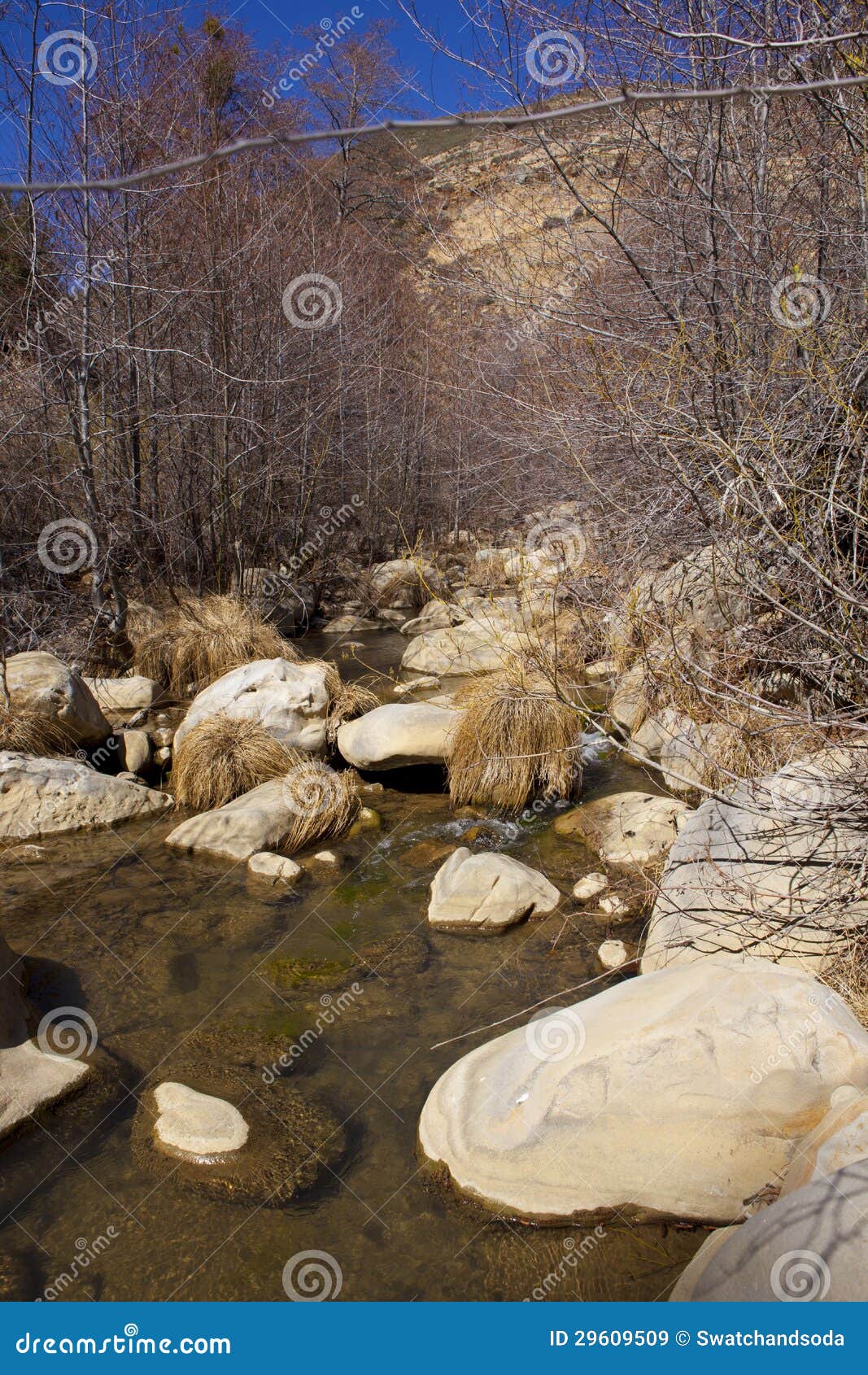 Calm Flowing Creek with Rocks Stock Image - Image of peaceful, branches ...