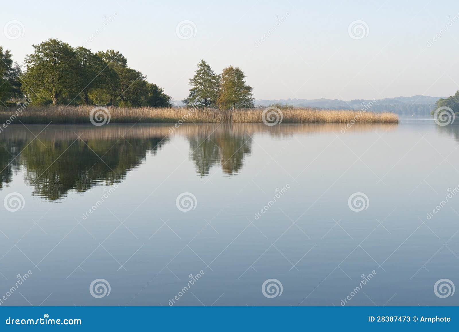 Calm Lake stock image. Image of trees, lake, blue, denmark - 28387473