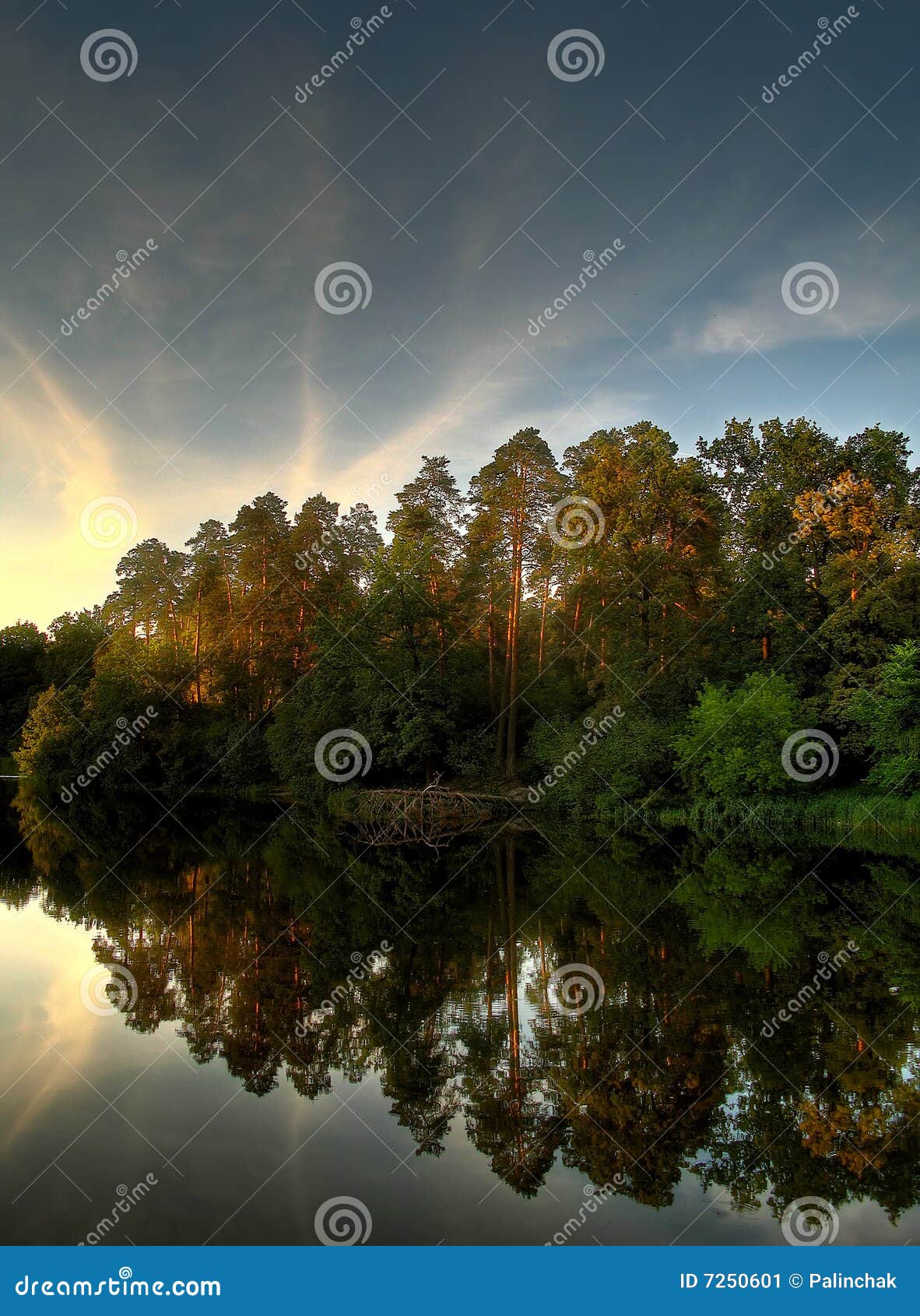 Calm lake stock image. Image of evening, countryside, forested - 7250601