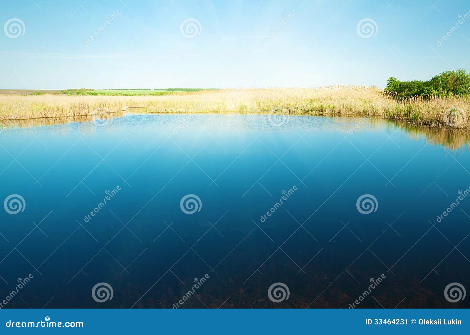 Calm lake with blue water stock image. Image of meadow - 33464231