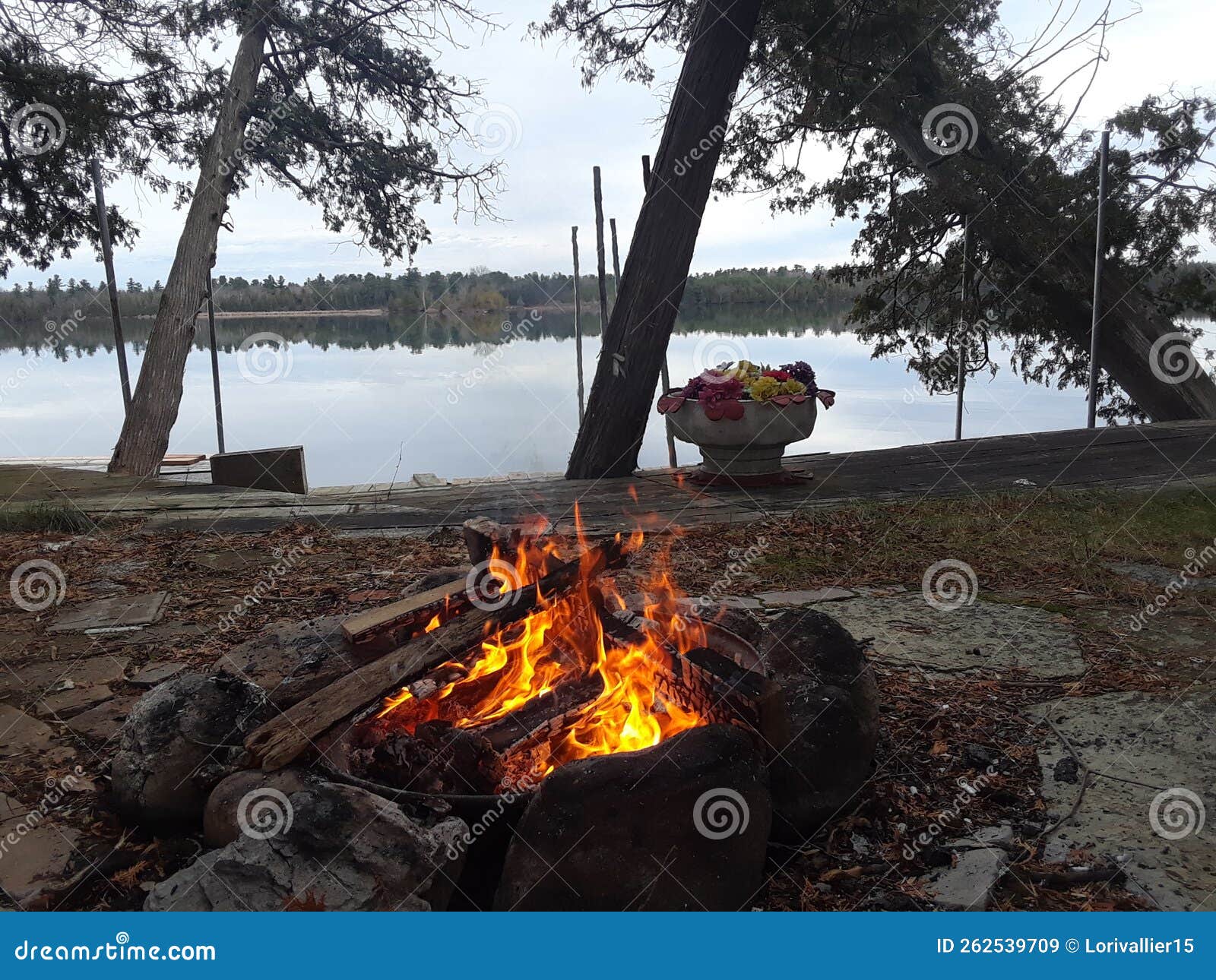 Calm Lake Campfire stock image. Image of darkness, asphalt - 262539709