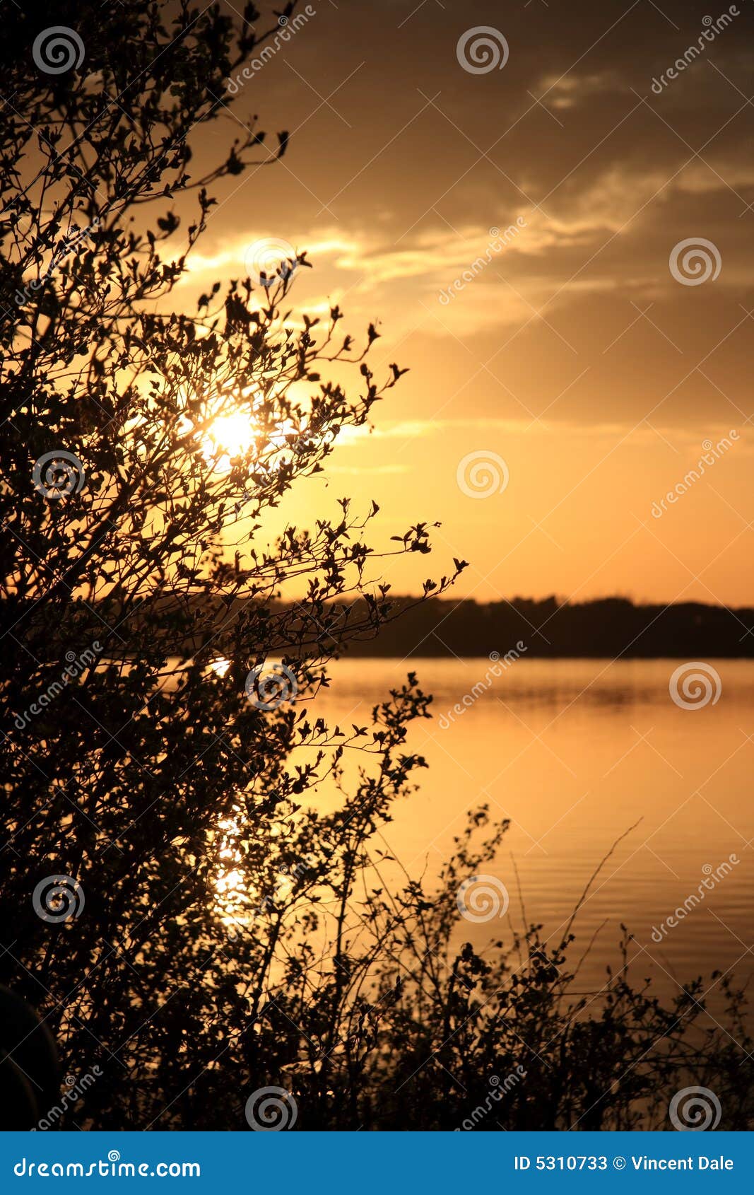 Calm Lake With Silhouettes Of Trees And Distant Structures Reflected In ...