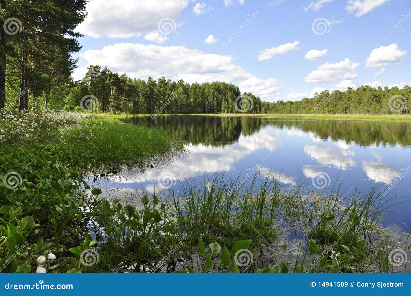 Calm lake reflection stock image. Image of clody, tree - 14941509
