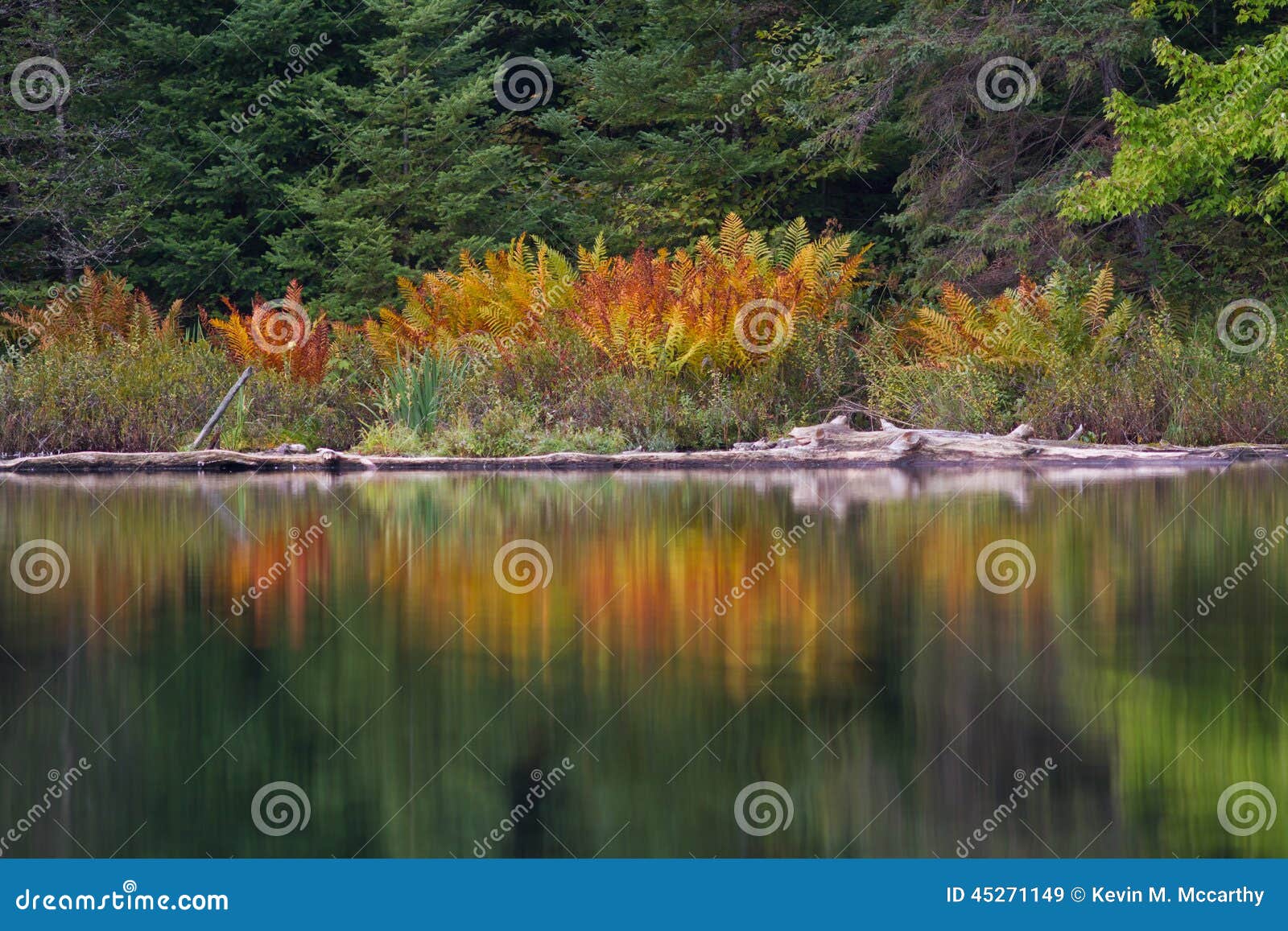 Calm Lake Reflection stock image. Image of peaceful, fall - 45271149