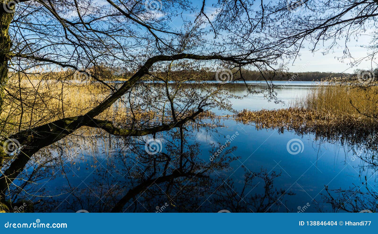 Calm Lake in Spring Sunlight Stock Photo - Image of water, forest ...