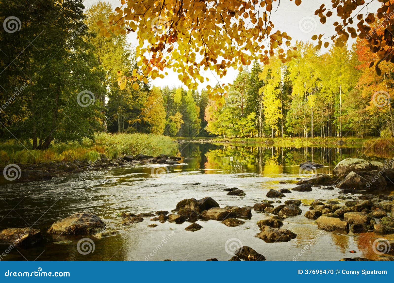Calm Lake. Texture Conceptual Images Stock Photo - Image of scenic ...