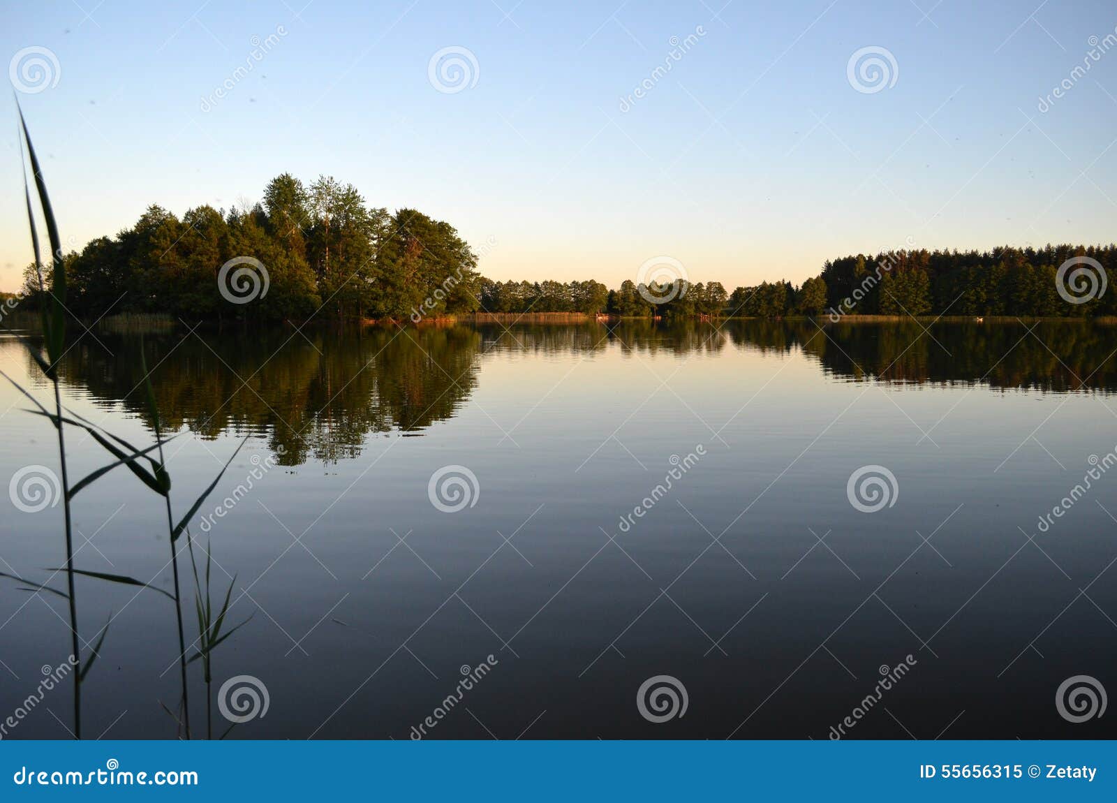 Calm lake water stock image. Image of sparkle, river - 55656315