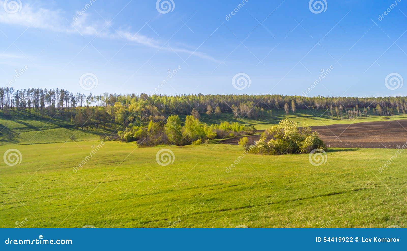 Calm Landscape with Green Grass Stock Photo - Image of grass, blue ...