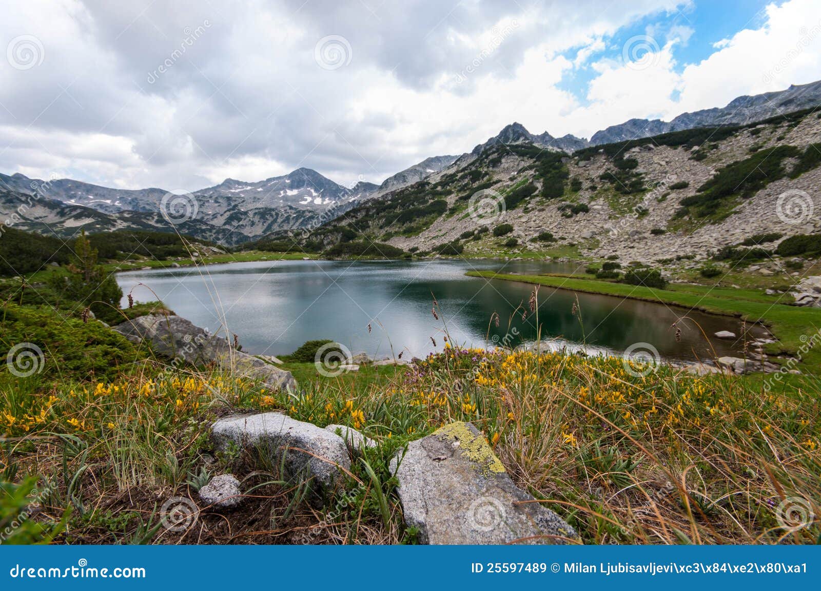 Calm Mountain Lake stock image. Image of green, nature - 25597489