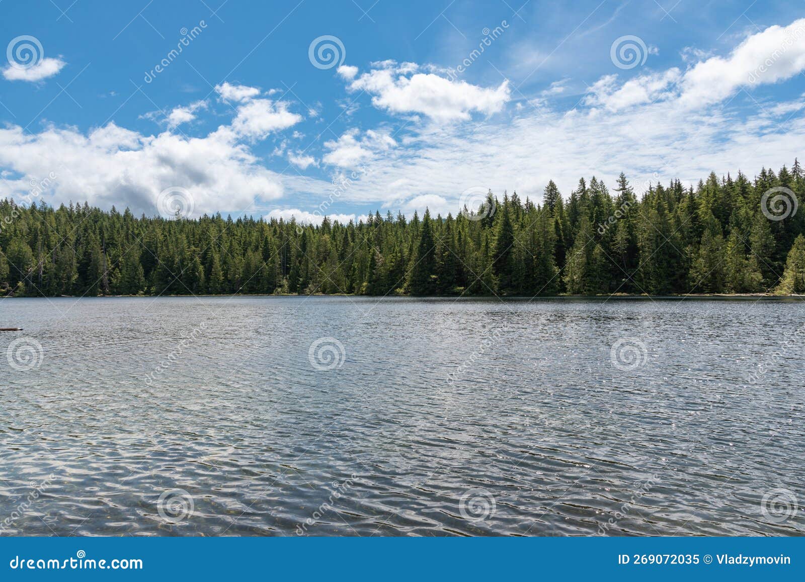 Calm Mountain Lake with a Deep Green Forest on the Background Stock ...
