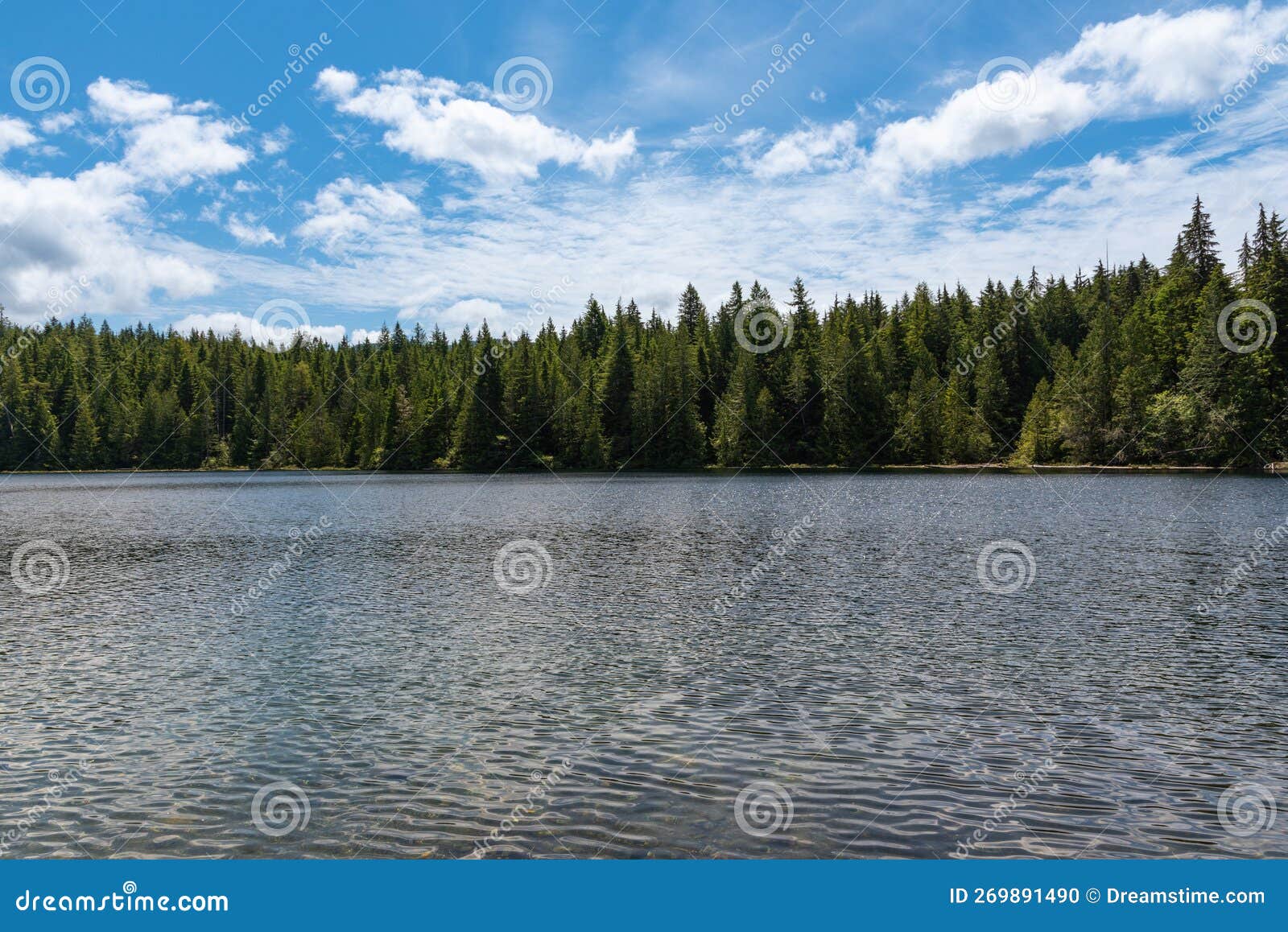 Calm Mountain Lake with a Deep Green Forest on the Background Stock ...