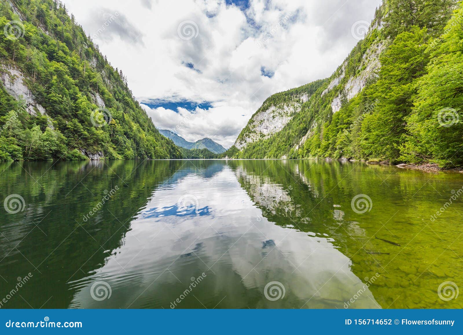 Calm Mountain Lake Reflection, Cloudy Sky and Pine Tree Cliffs ...