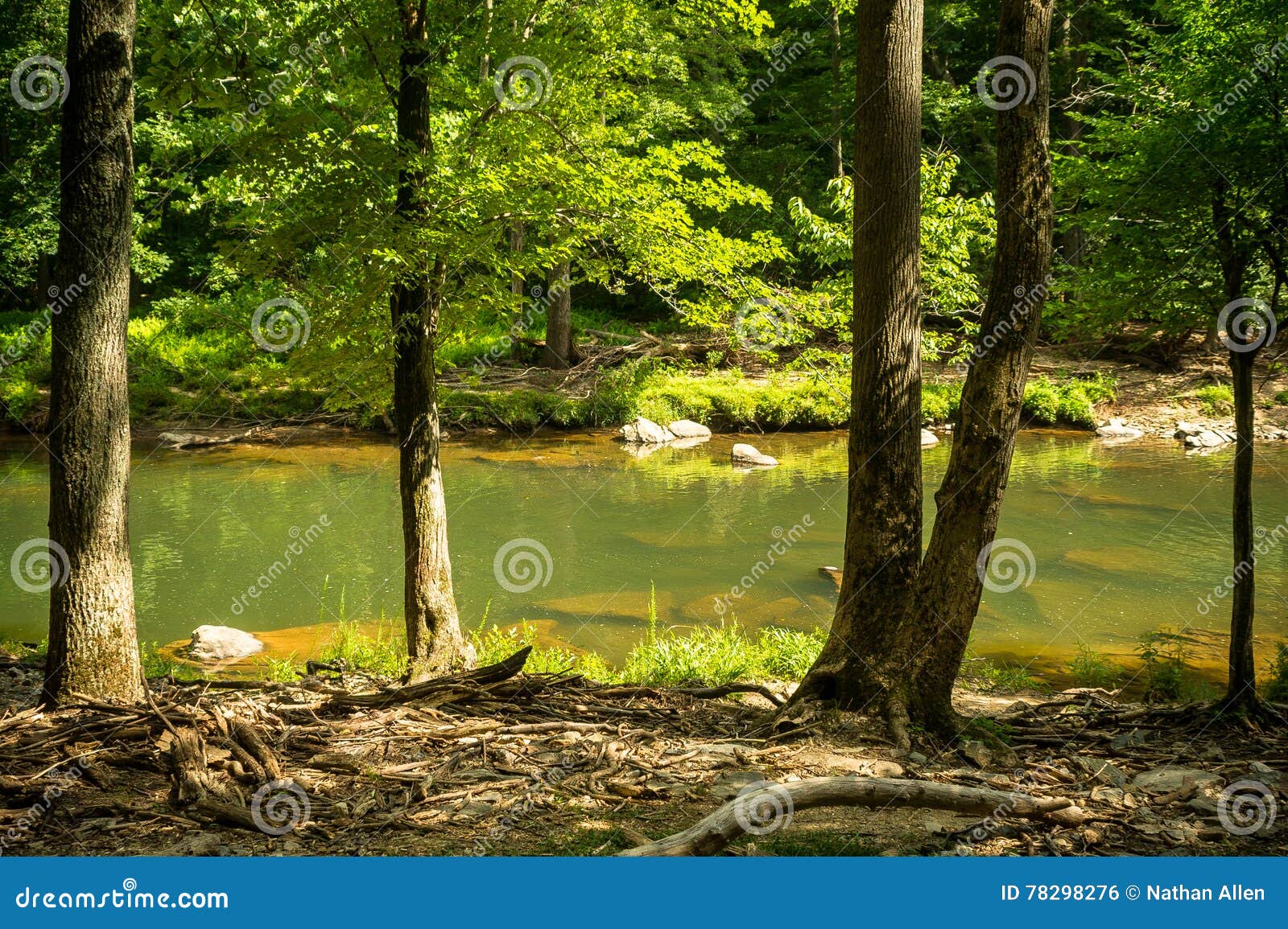 Calm Mountain Stream stock photo. Image of certovo, camping - 78298276