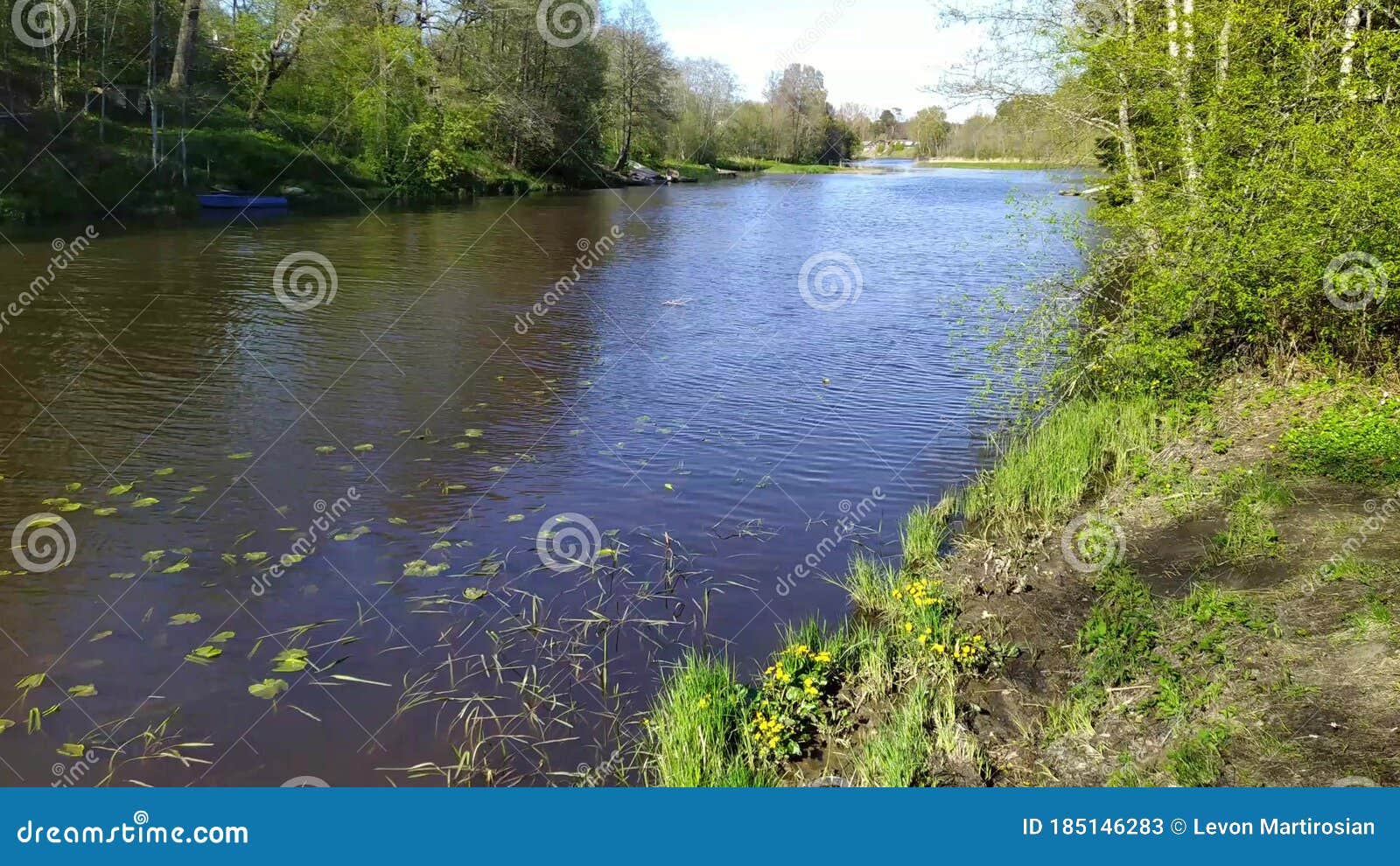 Calm Movement of a River between Two Green Shores in a Forest Stock ...