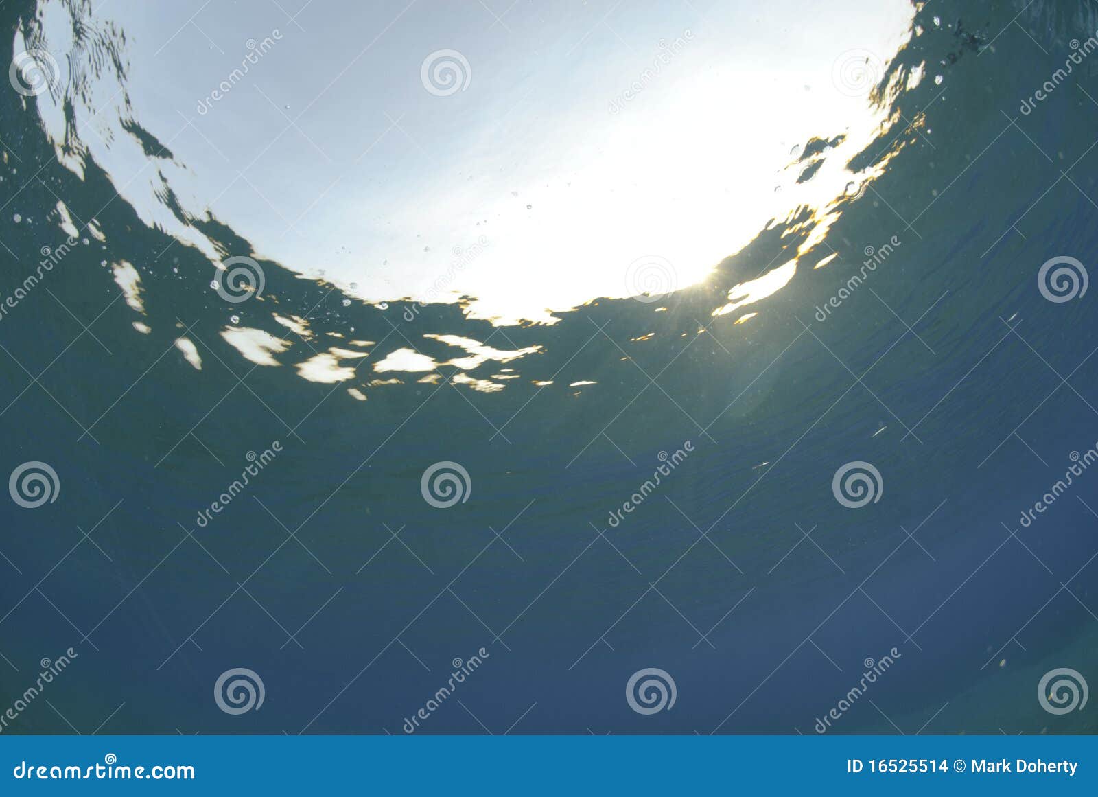 Calm Ocean Surface from Underwater Stock Photo - Image of underwater ...