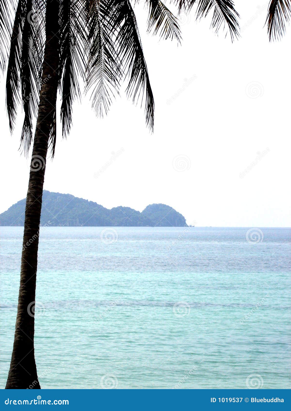 Calm Paradise stock image. Image of island, vacation, ocean - 1019537