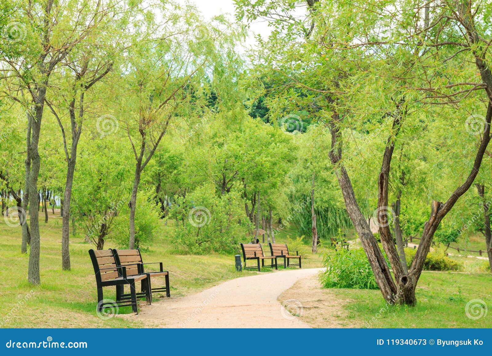 Calm and peaceful park stock image. Image of park, peaceful - 119340673