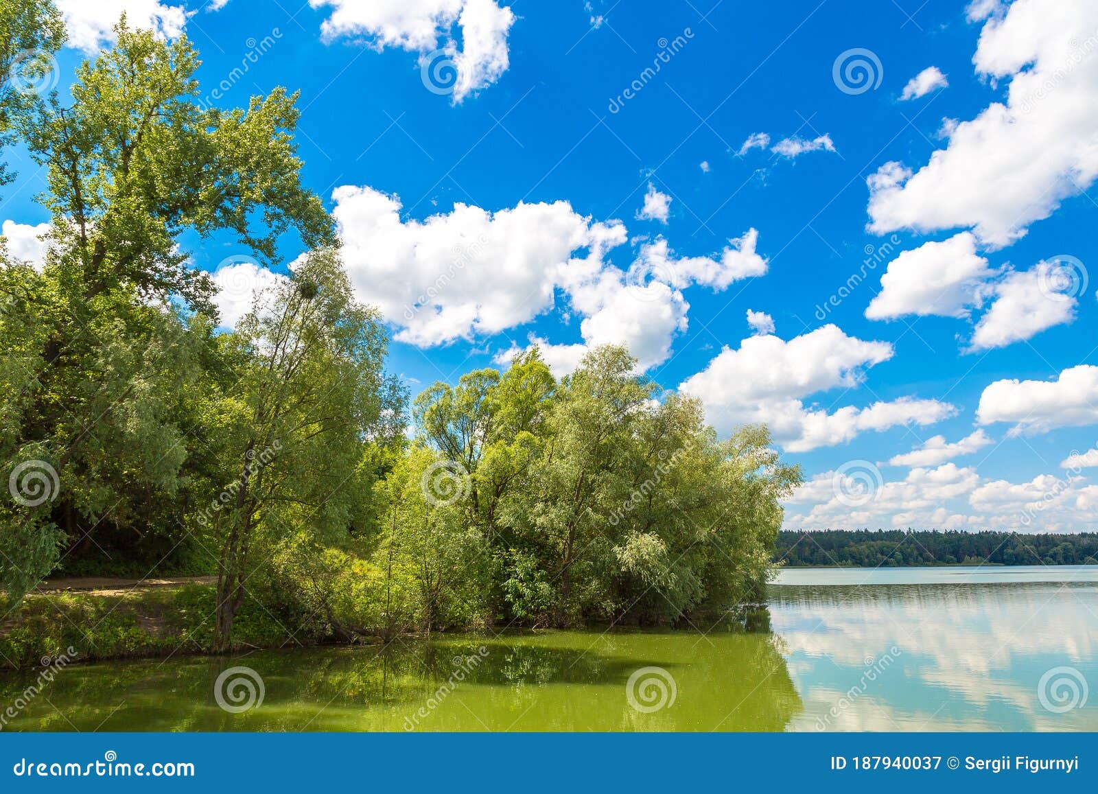 Calm pond and water plants stock image. Image of park - 187940037