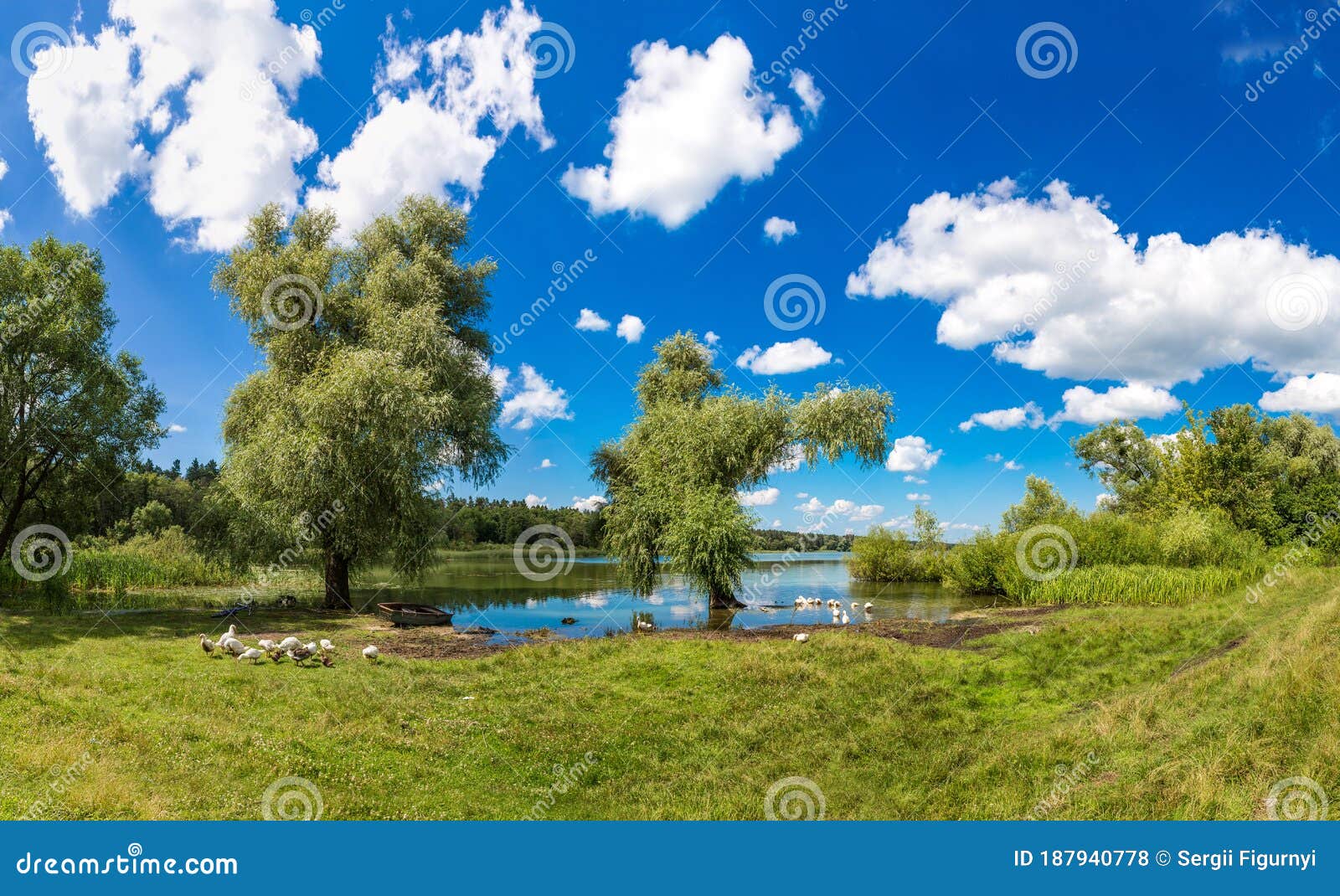 Calm pond and water plants stock photo. Image of scene - 187940778