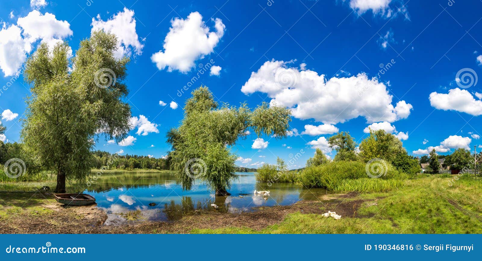 Calm pond and water plants stock photo. Image of calm - 190346816