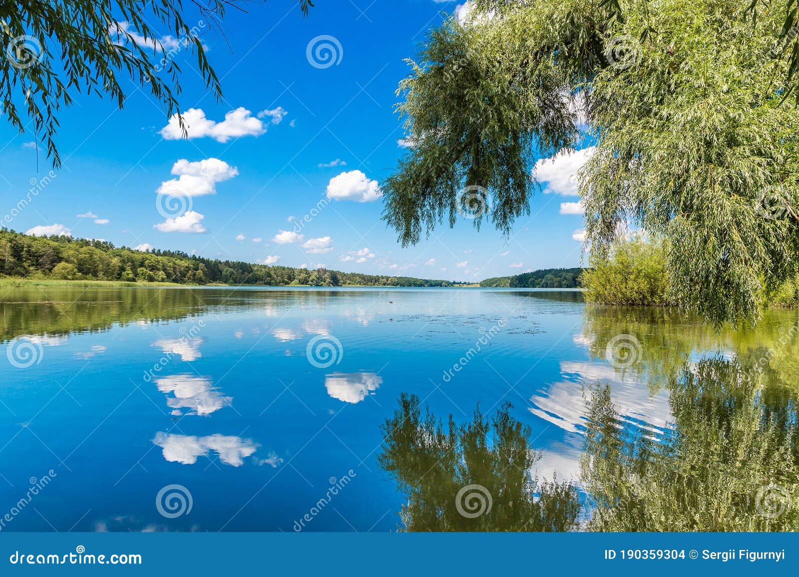 Calm pond and water plants stock photo. Image of scene - 190359304