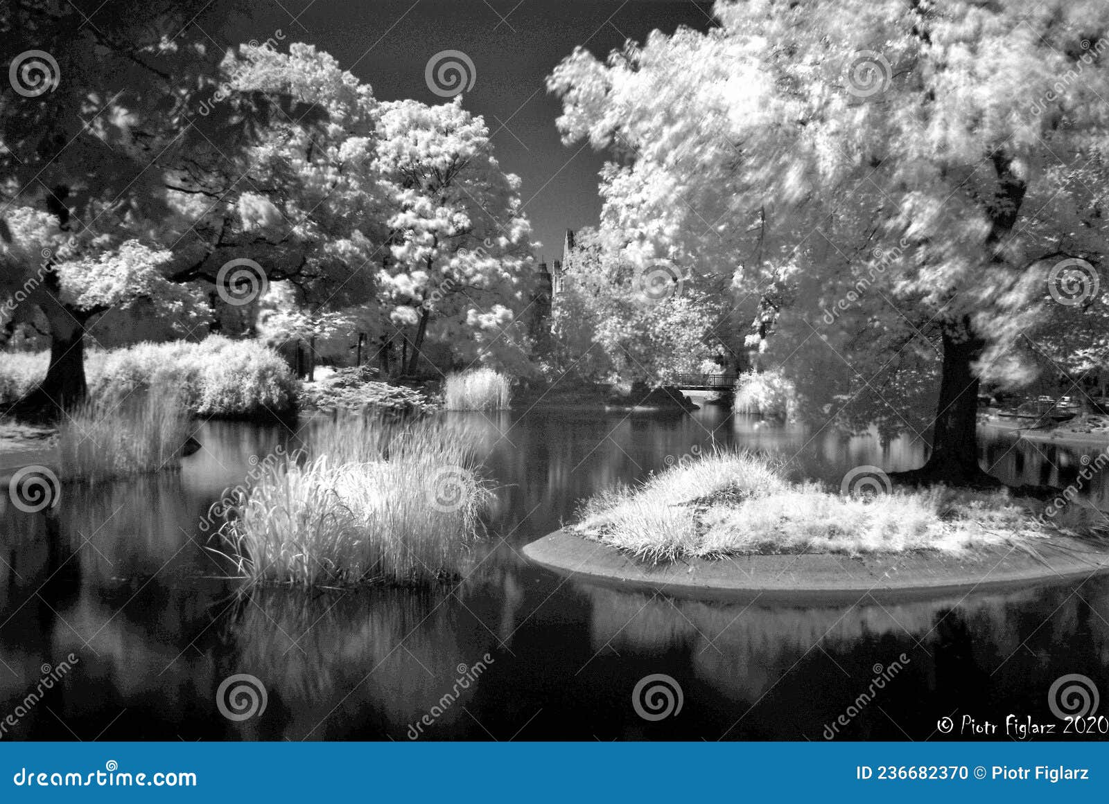 Calm and Quiet stock photo. Image of quiet, pond, monochrome - 236682370