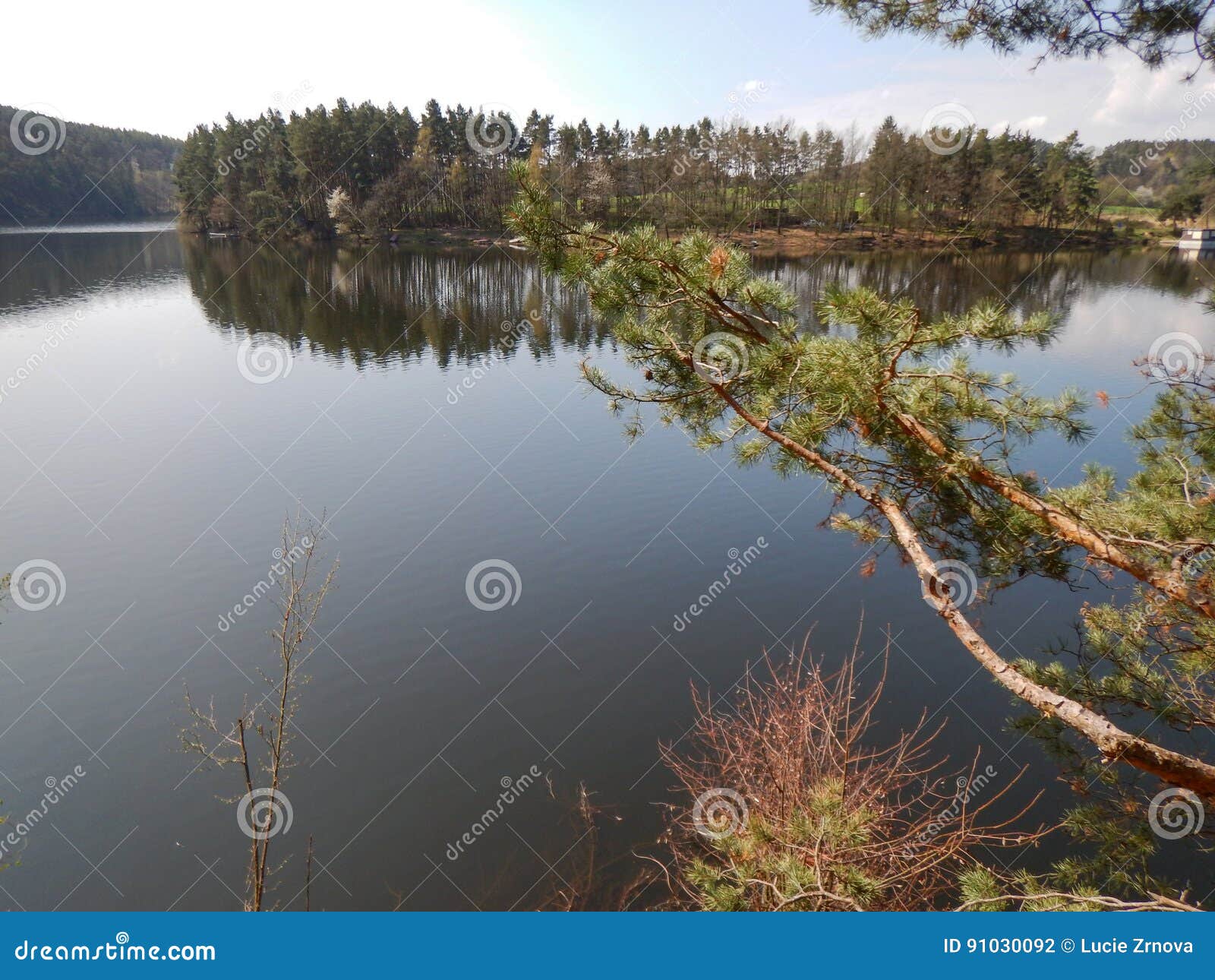 Calm Quiet Morning at Slapy Dam in Czech Stock Photo - Image of tree ...