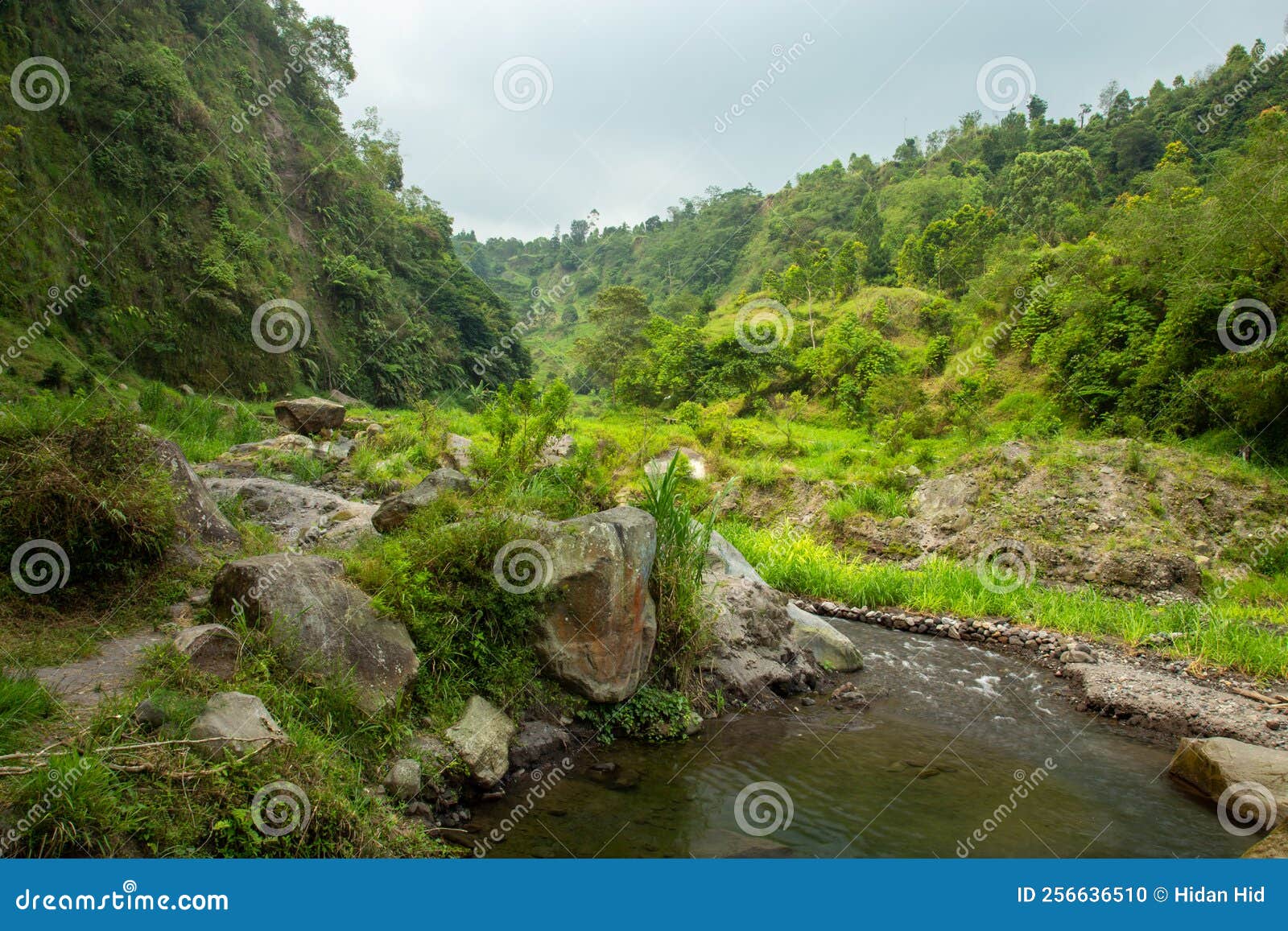 Calm and Quiet River Stream Stock Photo - Image of stream, meadow ...