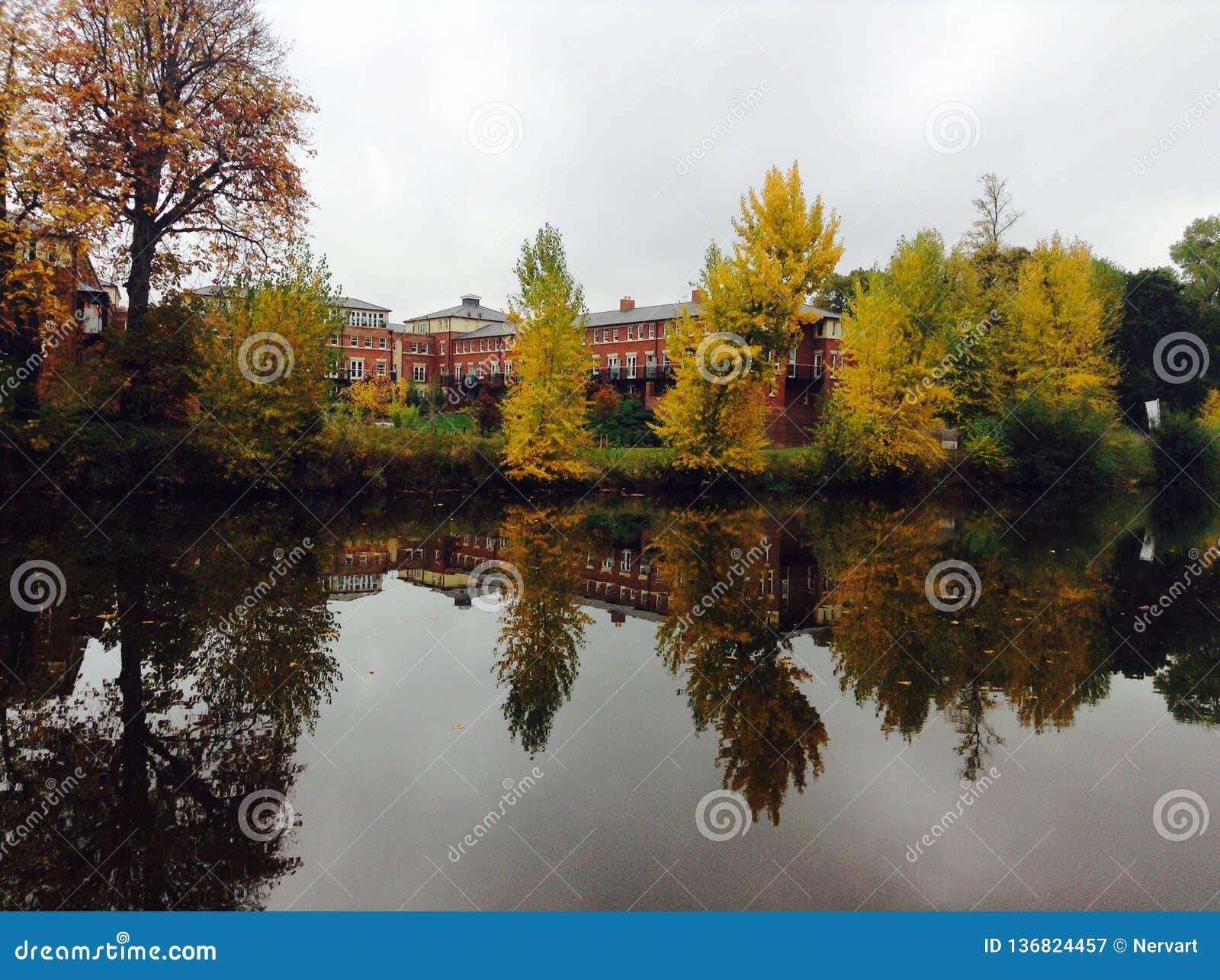 Calm and quiet stock image. Image of reflections, quiet - 136824457