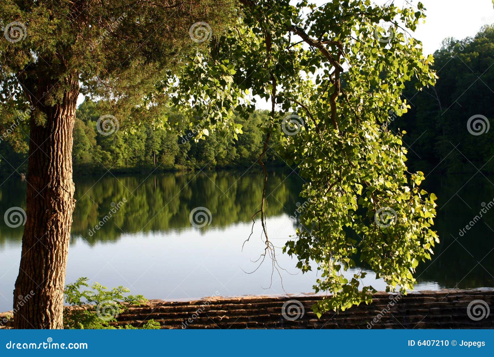 Calm reflection stock photo. Image of sunny, lake, trees - 6407210
