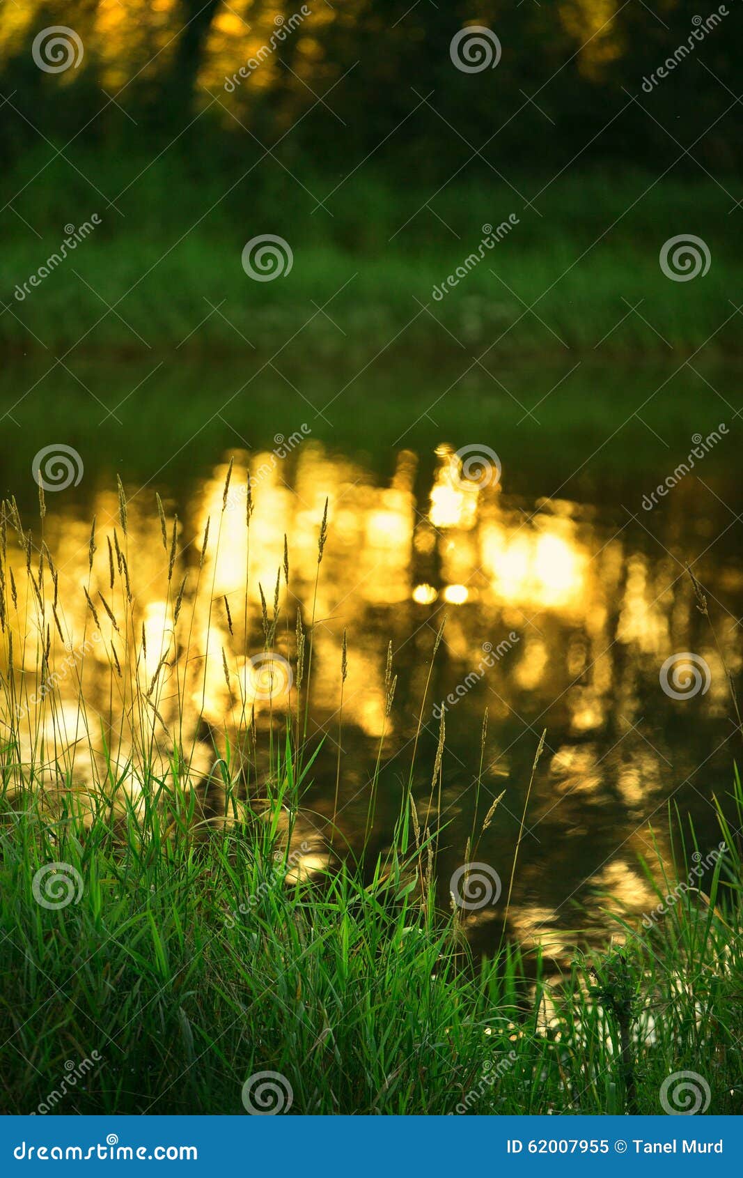Calm Reflection of Sunset on the River Stock Image - Image of blur ...