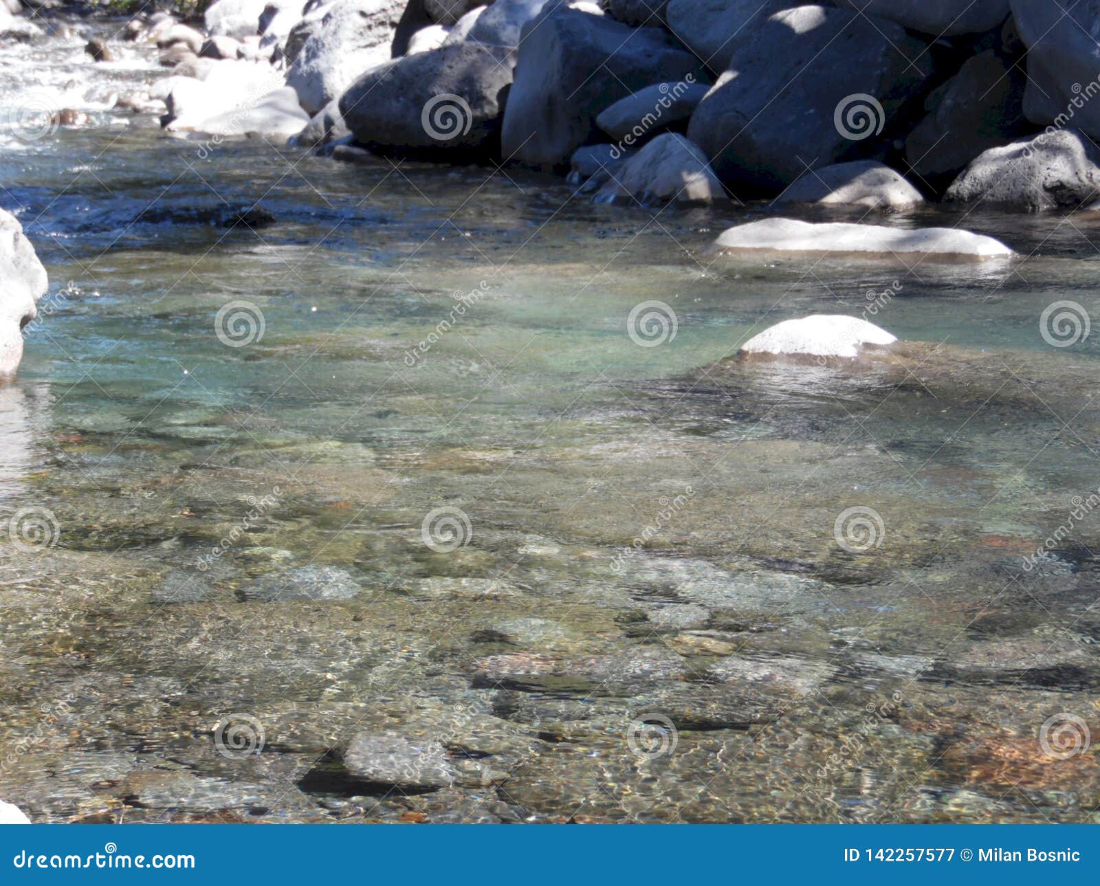 Calm river flow stock image. Image of swim, tranquil - 142257577