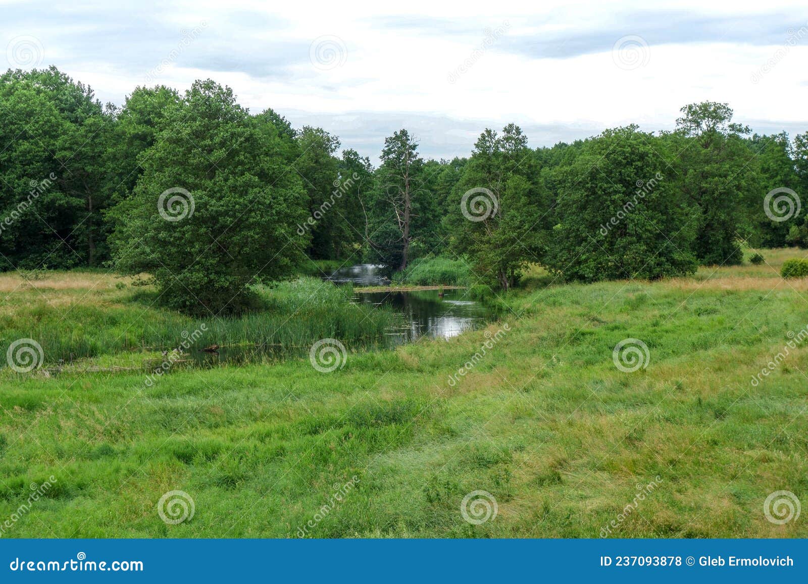 Calm River Flowing through the Meadow into the Forest Stock Photo ...