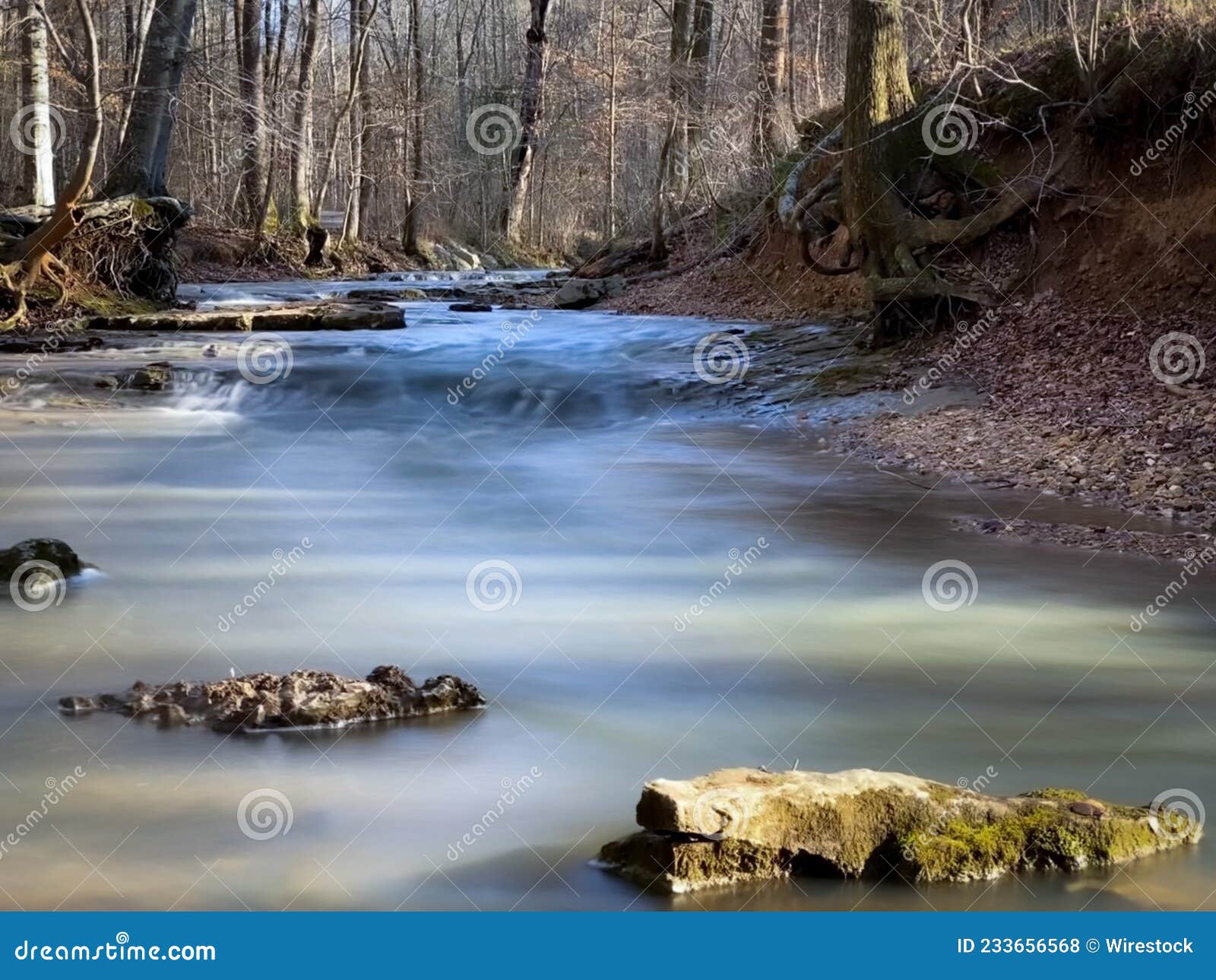 Calm River in a Forest during Daylight Stock Photo - Image of nature ...