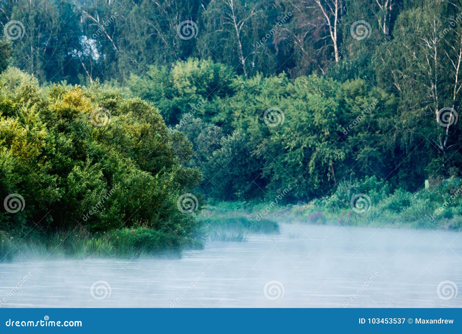 Calm river with forest stock image. Image of reflection - 103453537