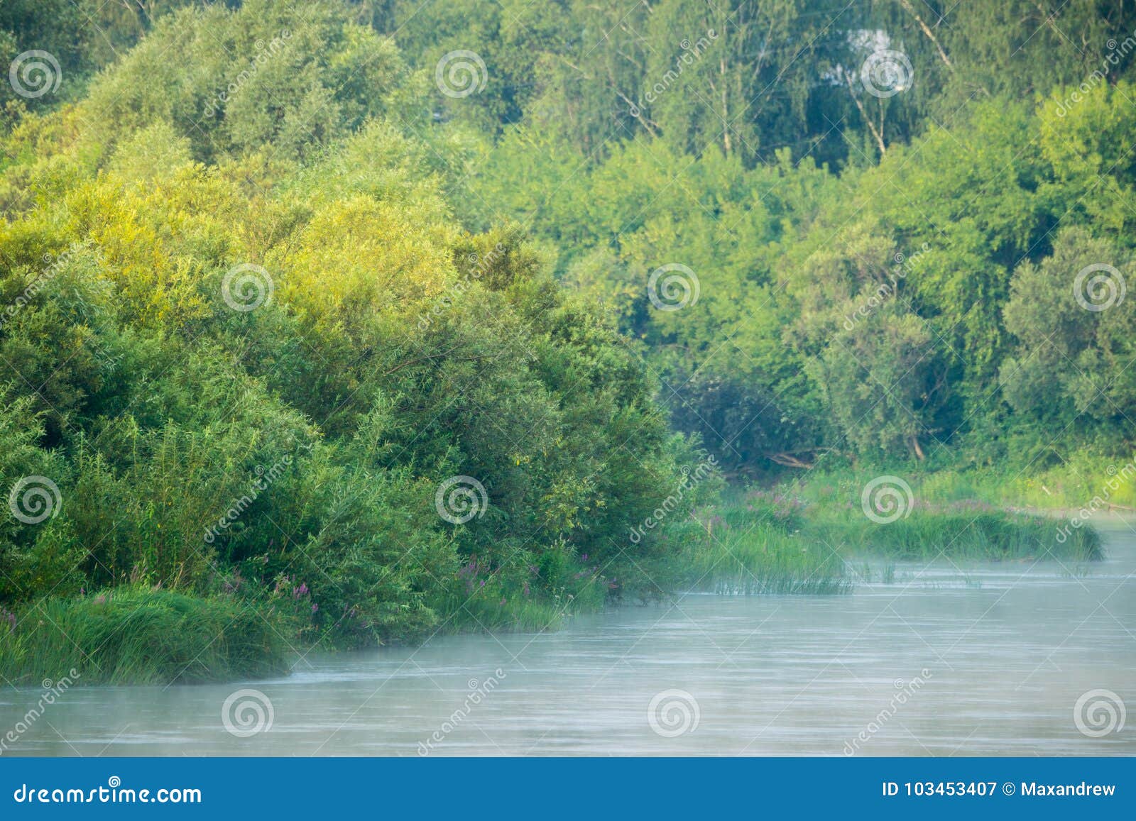 Calm river with forest stock image. Image of reflection - 103453407