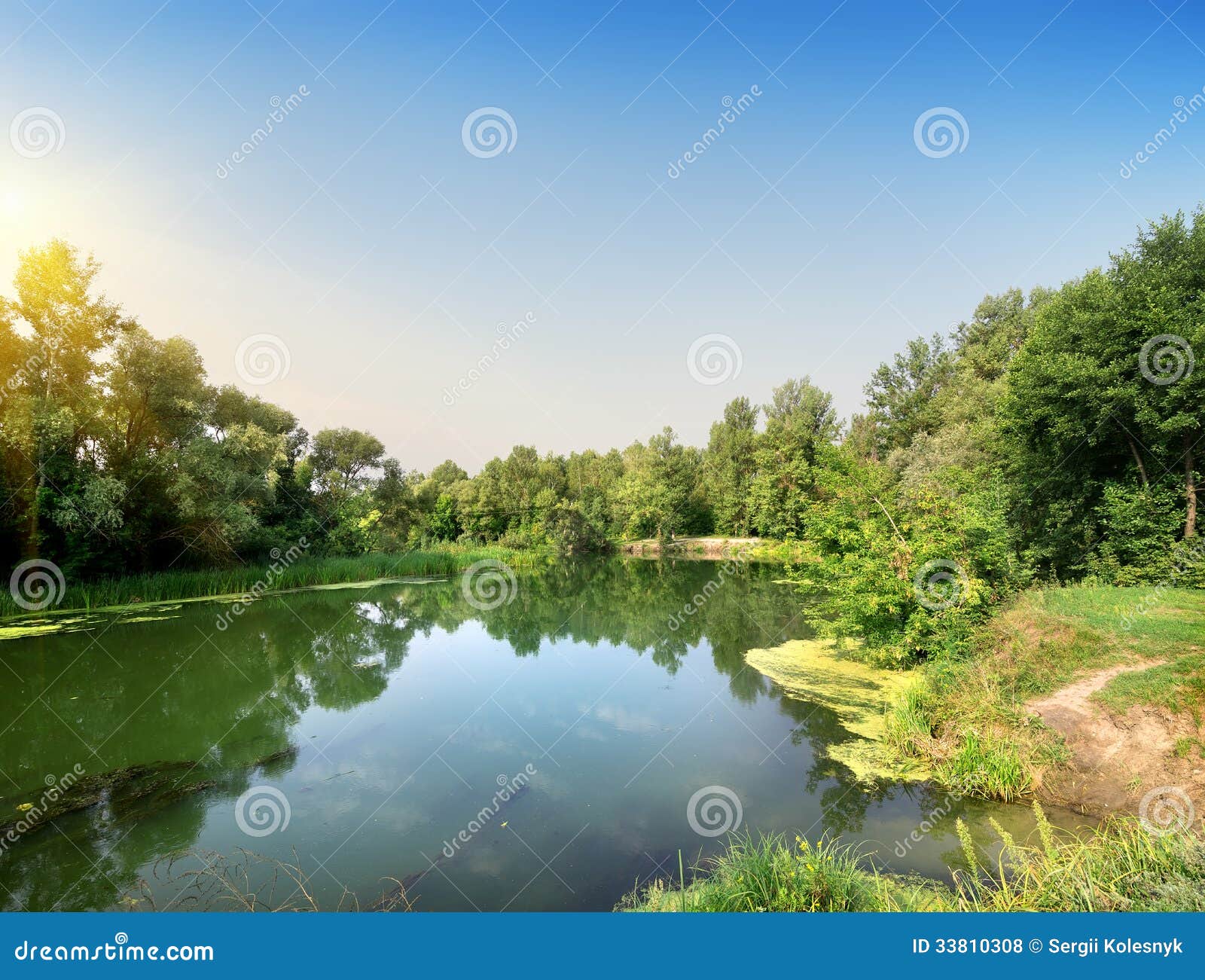Calm river stock photo. Image of nonurban, forest, pond - 33810308