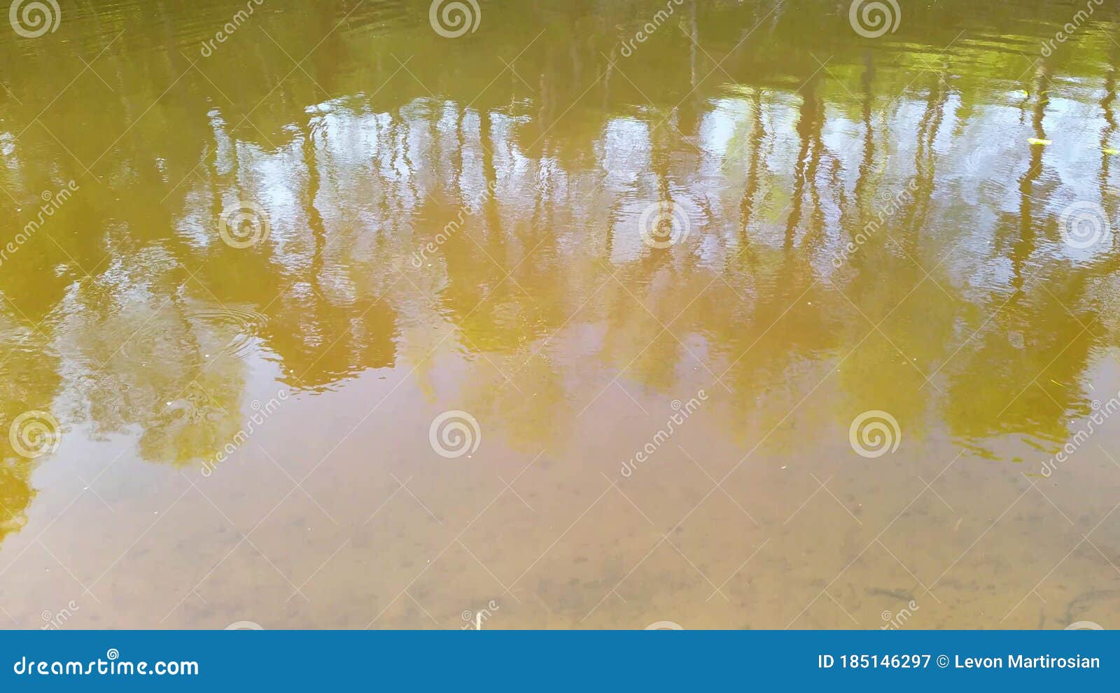 Calm River Movement and Reflection of Trees in the Water Stock Image ...