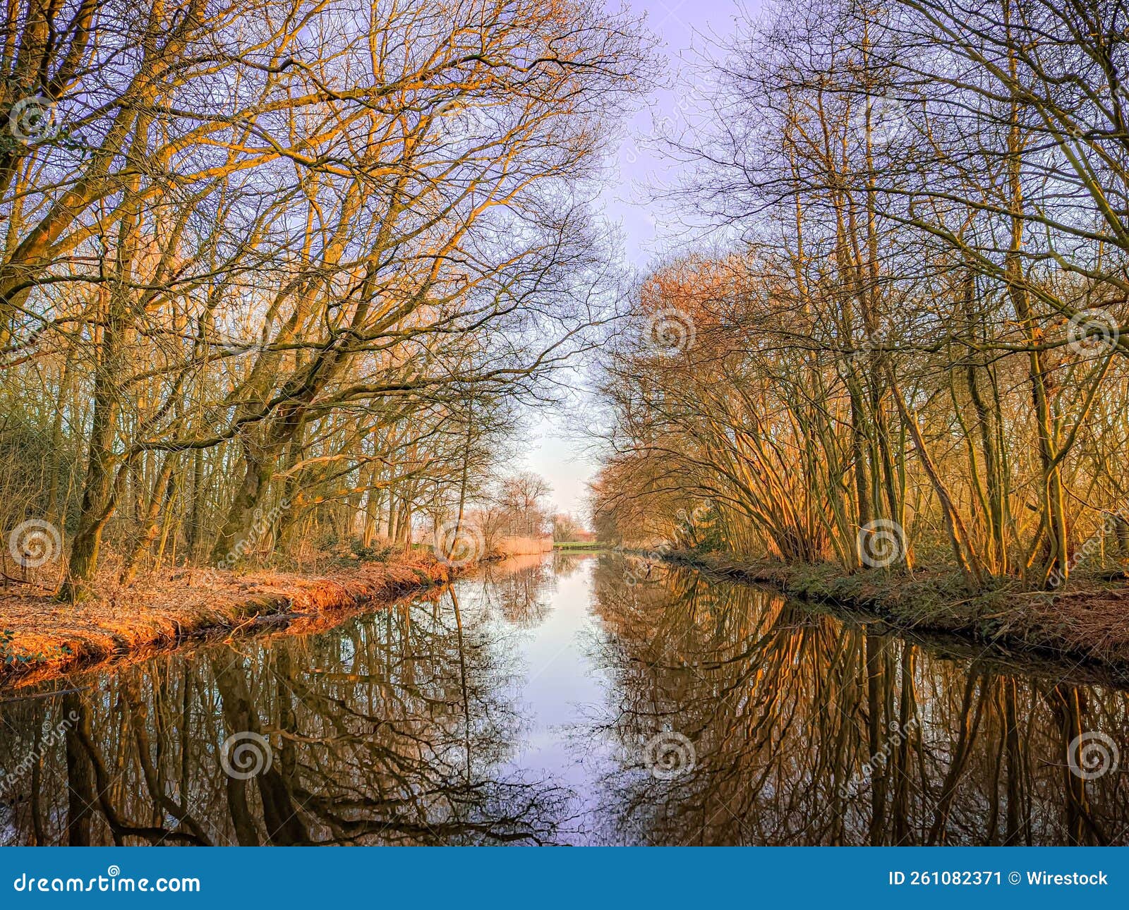Calm River with Reflections of Trees Stock Image - Image of trees ...