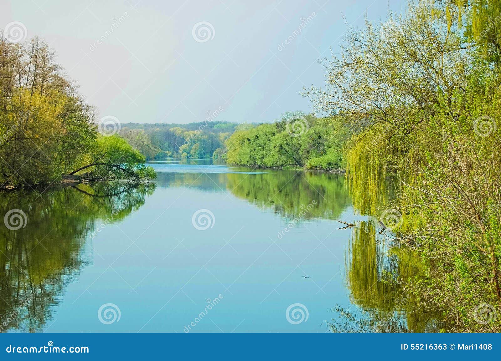 Calm river spring stock image. Image of blue, green, deciduous - 55216363