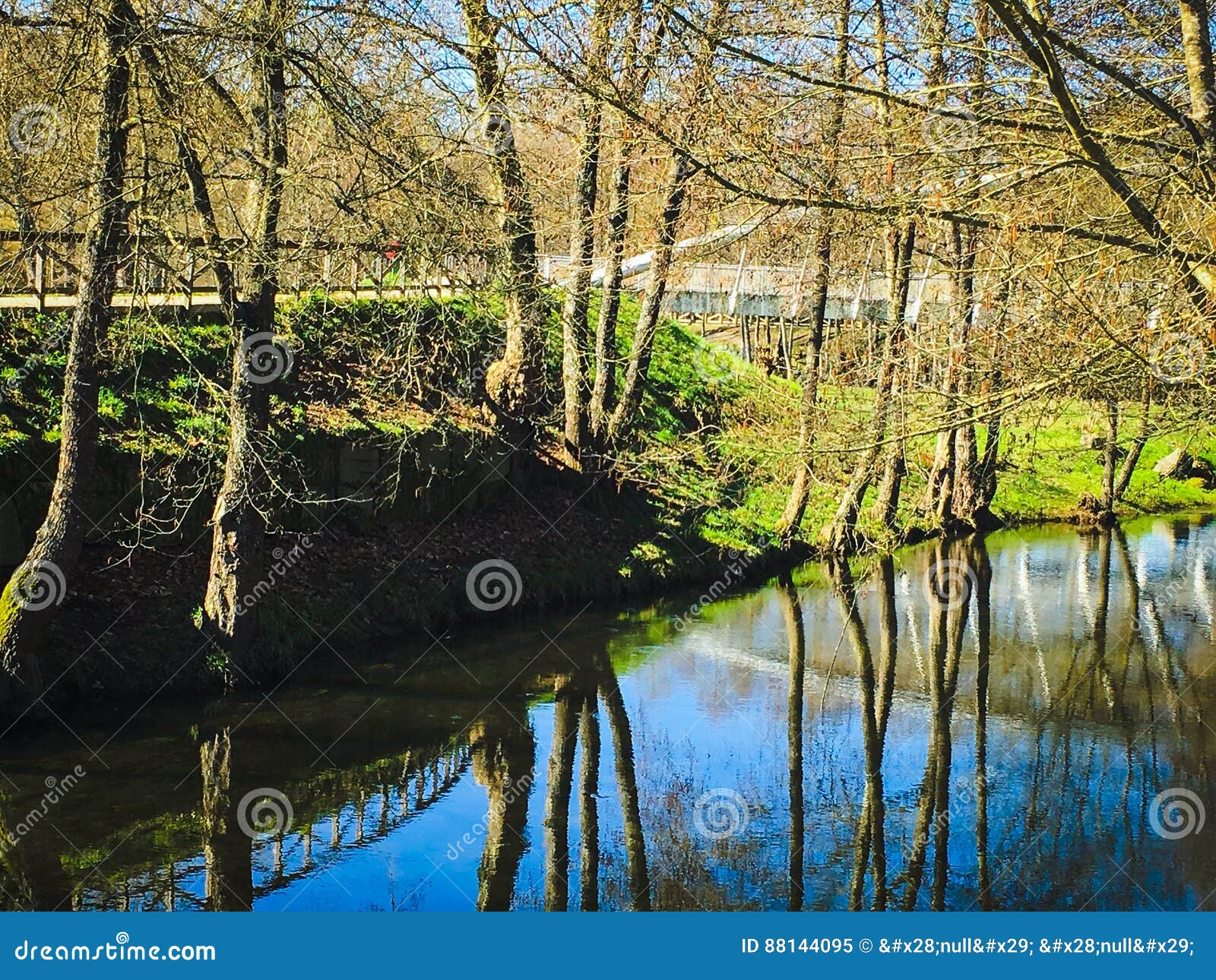 Calm River stock image. Image of sunshine, water, calm - 88144095