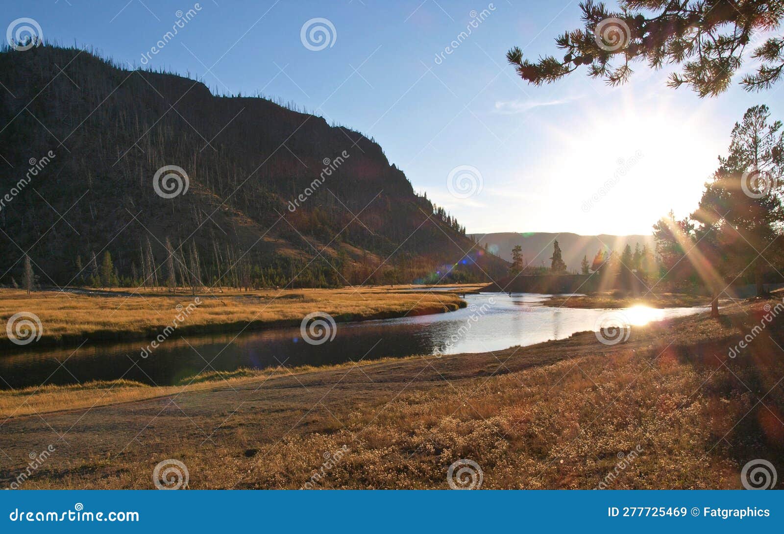 Calm Riverside Scene in Yellowstone Park Stock Image - Image of wyoming ...