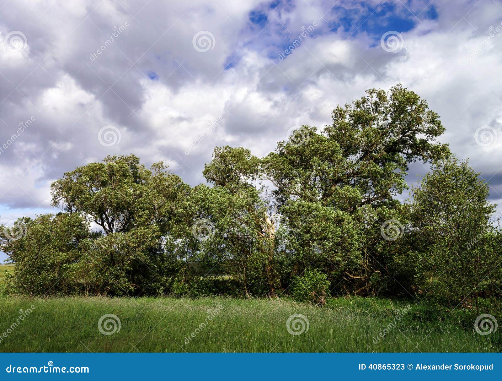 Calm rural landscape stock image. Image of natural, colorful - 40865323